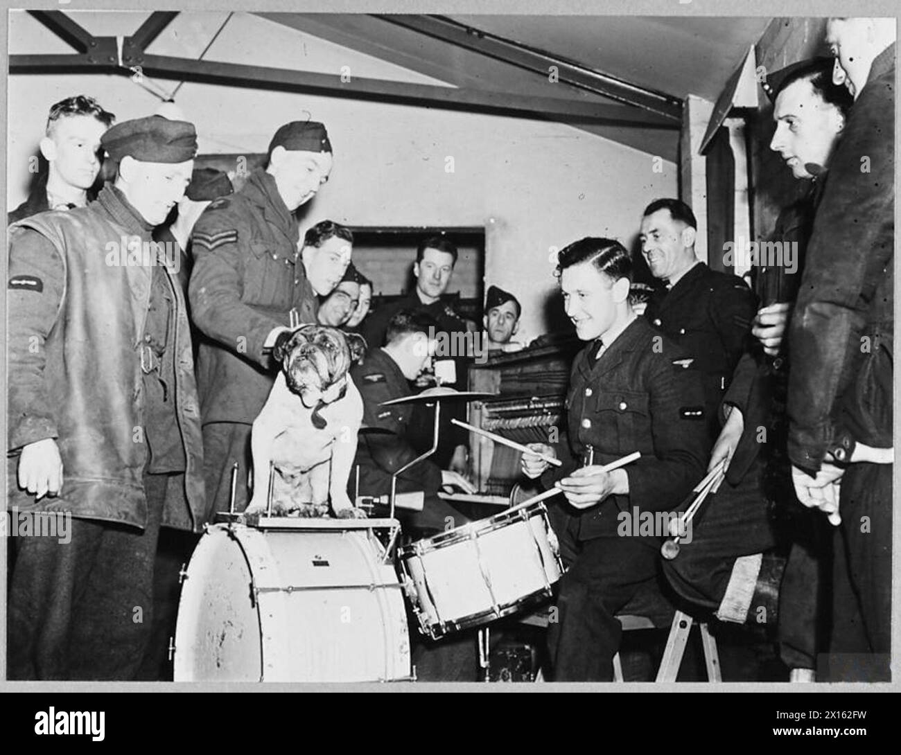 Susie, a bulldog mascot of an RAF Fighter Squadron, is shown ...