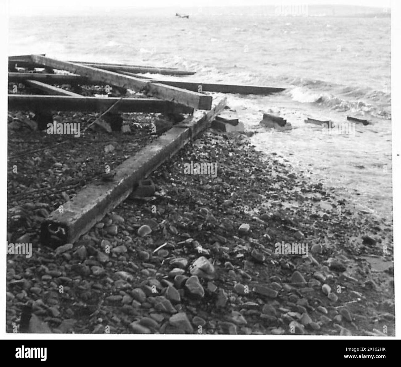 SPECIAL ASSIGNMENT FOR TN.5 - Various positions of the "Whale ...