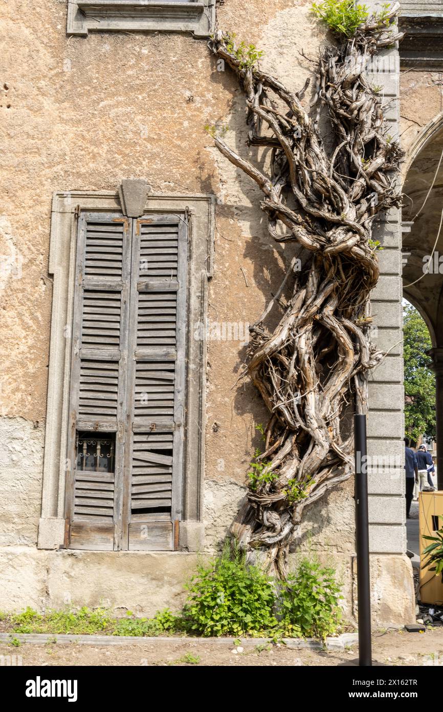 Milan, Italy - april 2024 - Fuorisalone Milan design week - Alcova ...