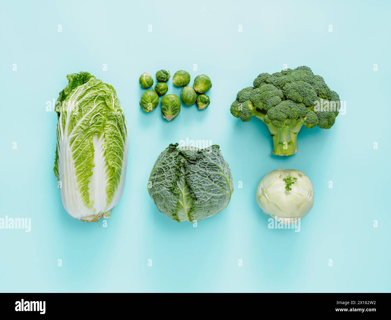 Different types of cabbage - broccoli, brussles sprout, napa cabbage ...