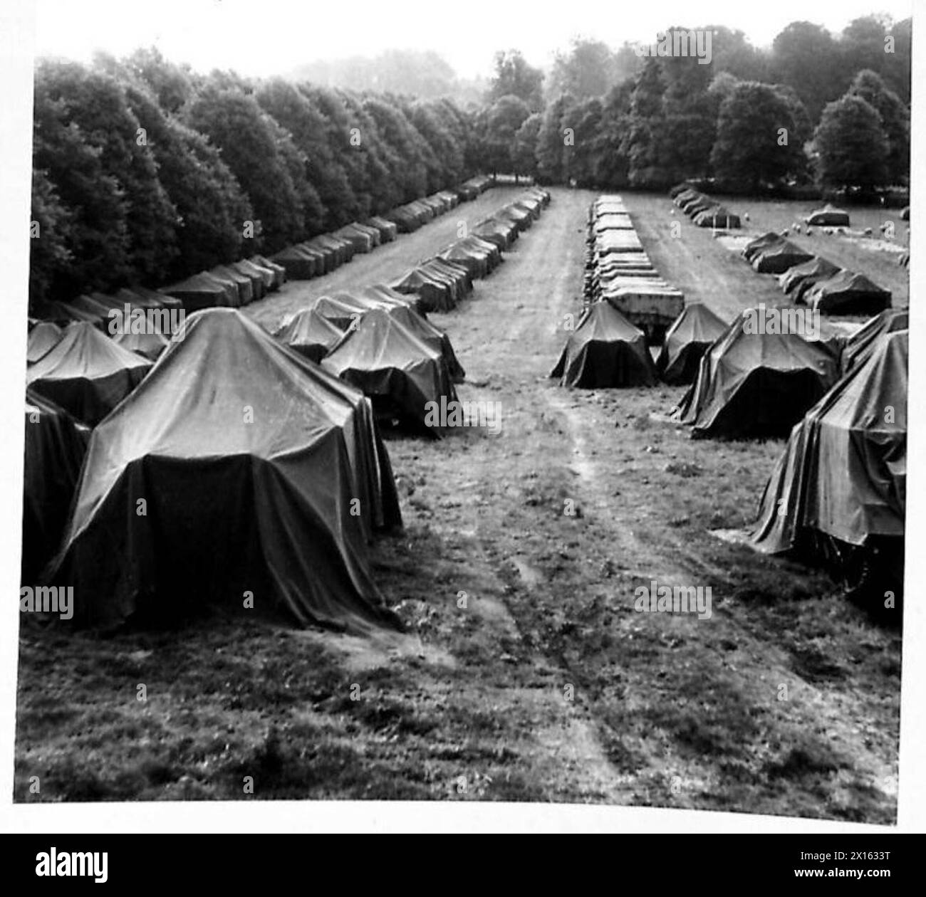 SPECIAL ASSIGNMENT FOR W.S.7[c] - Canadian and American carriers ...