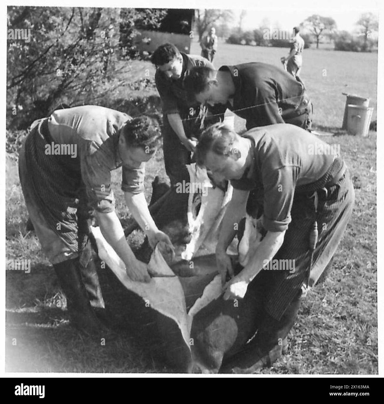 Army personnel remove field hi-res stock photography and images - Alamy