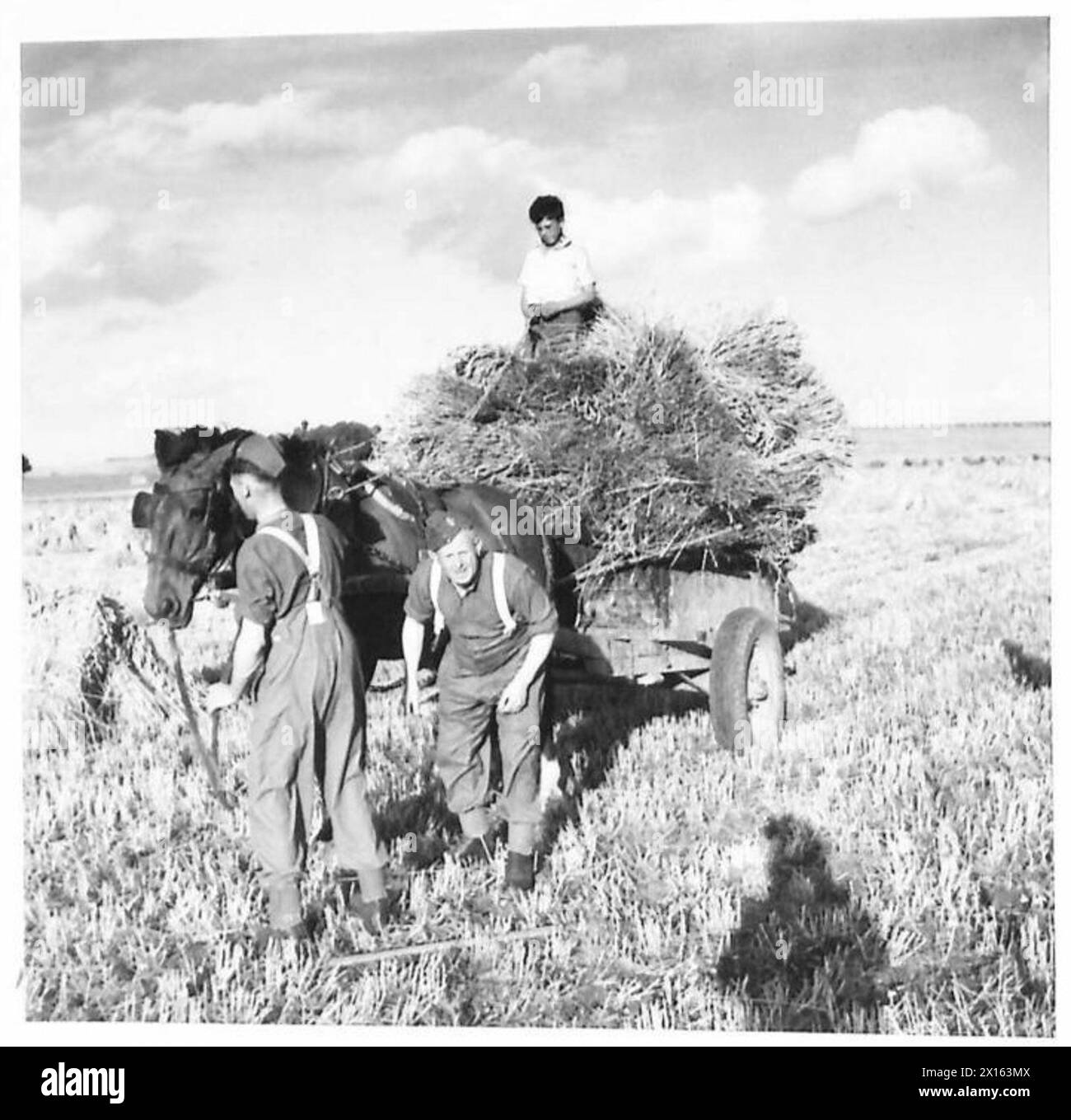ANOTHER "LAND ARMY - RASC members about to lead in a well loaded cart ...