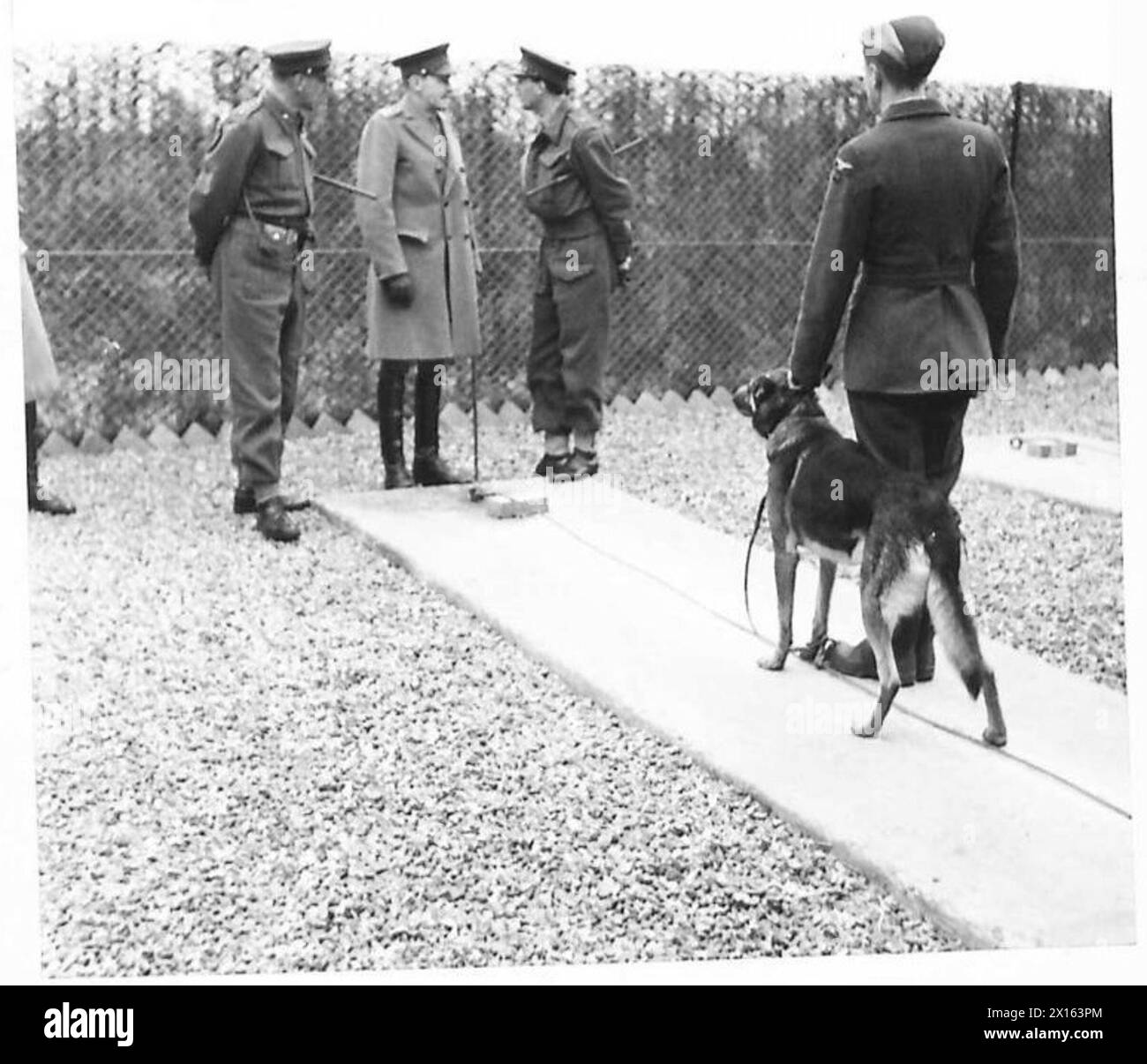 Major General C.A. West inspects trained guard dogs in their kennels at ...