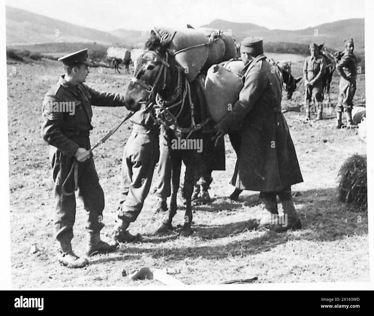 Pack mule unit hi-res stock photography and images - Alamy