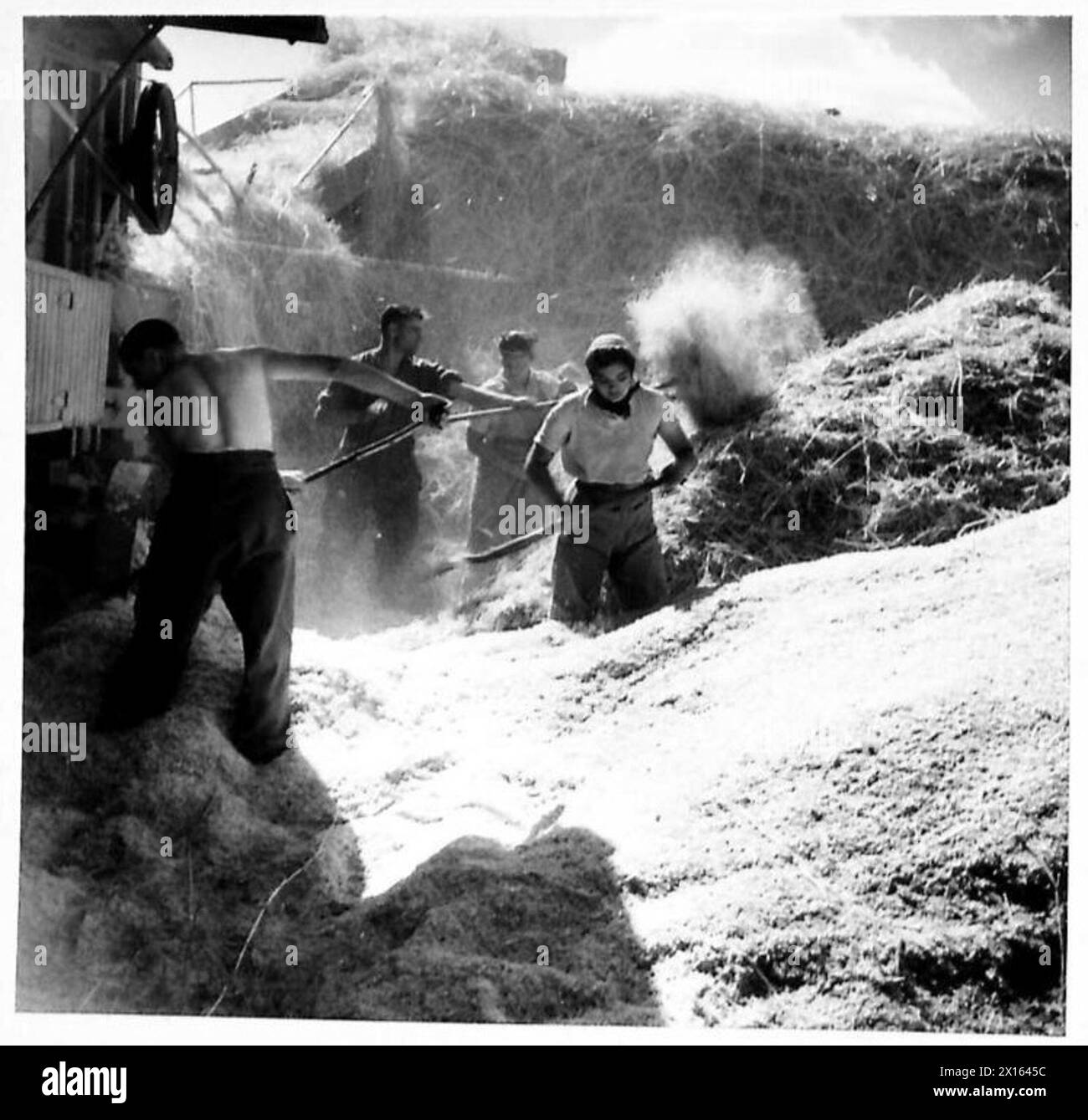 Land army girls hi-res stock photography and images - Alamy