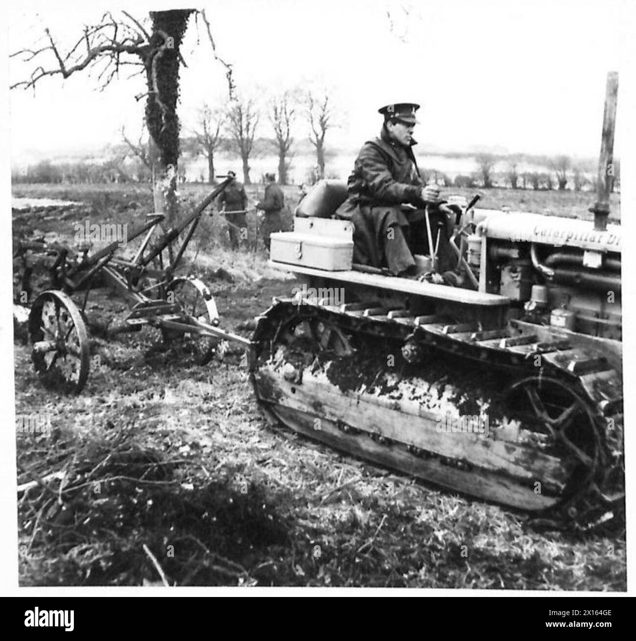WASTE LAND PRODUCED ARMY VEGETABLES - The cleared land being ploughed ...