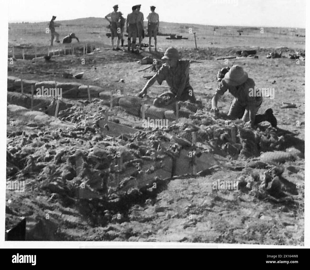 OFFICIAL PHOTOGRAPHS TAKEN IN THE WESTERN DESERT - Troops camouflaging ...