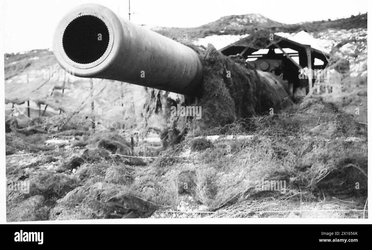 Artillery experience Cut Out Stock Images & Pictures - Alamy