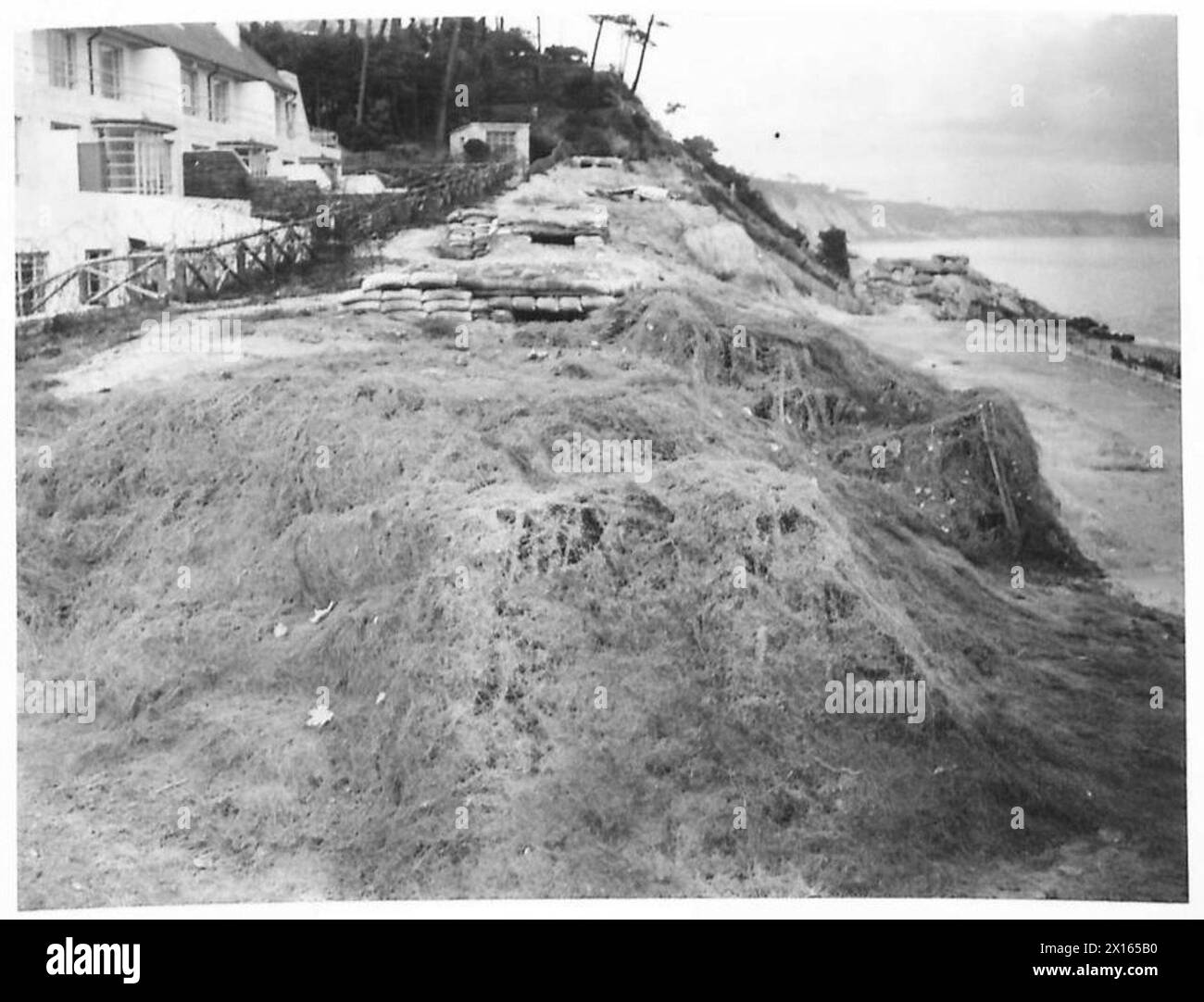 Camouflageunit hi-res stock photography and images - Alamy