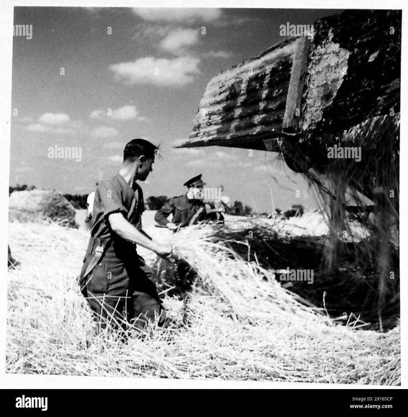 Collecting the straw Black and White Stock Photos & Images - Alamy