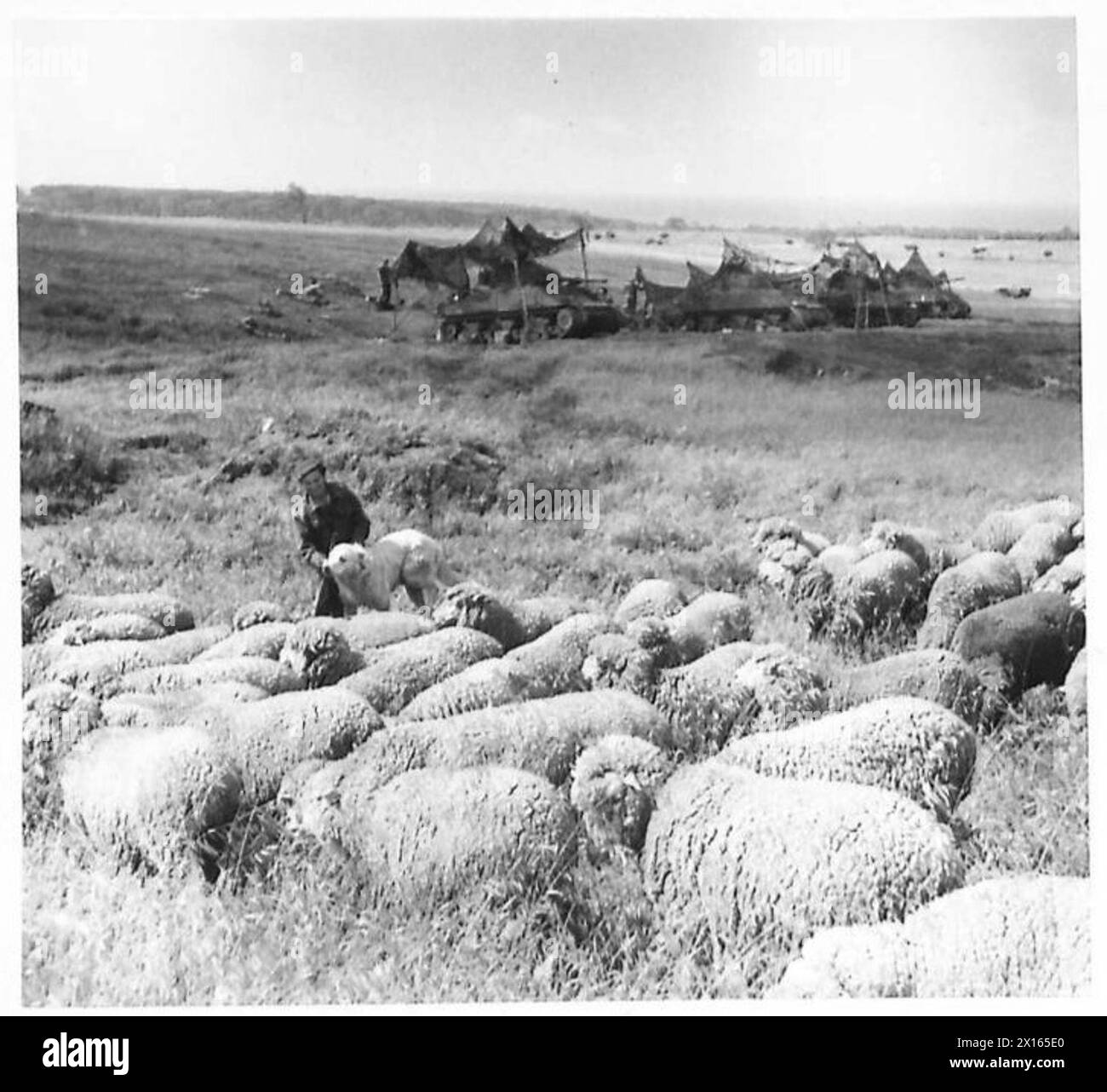 ANZIO BRIDGEHEAD TANKS EMPLOYED AS ARTILLERY - Not an exercise on ...