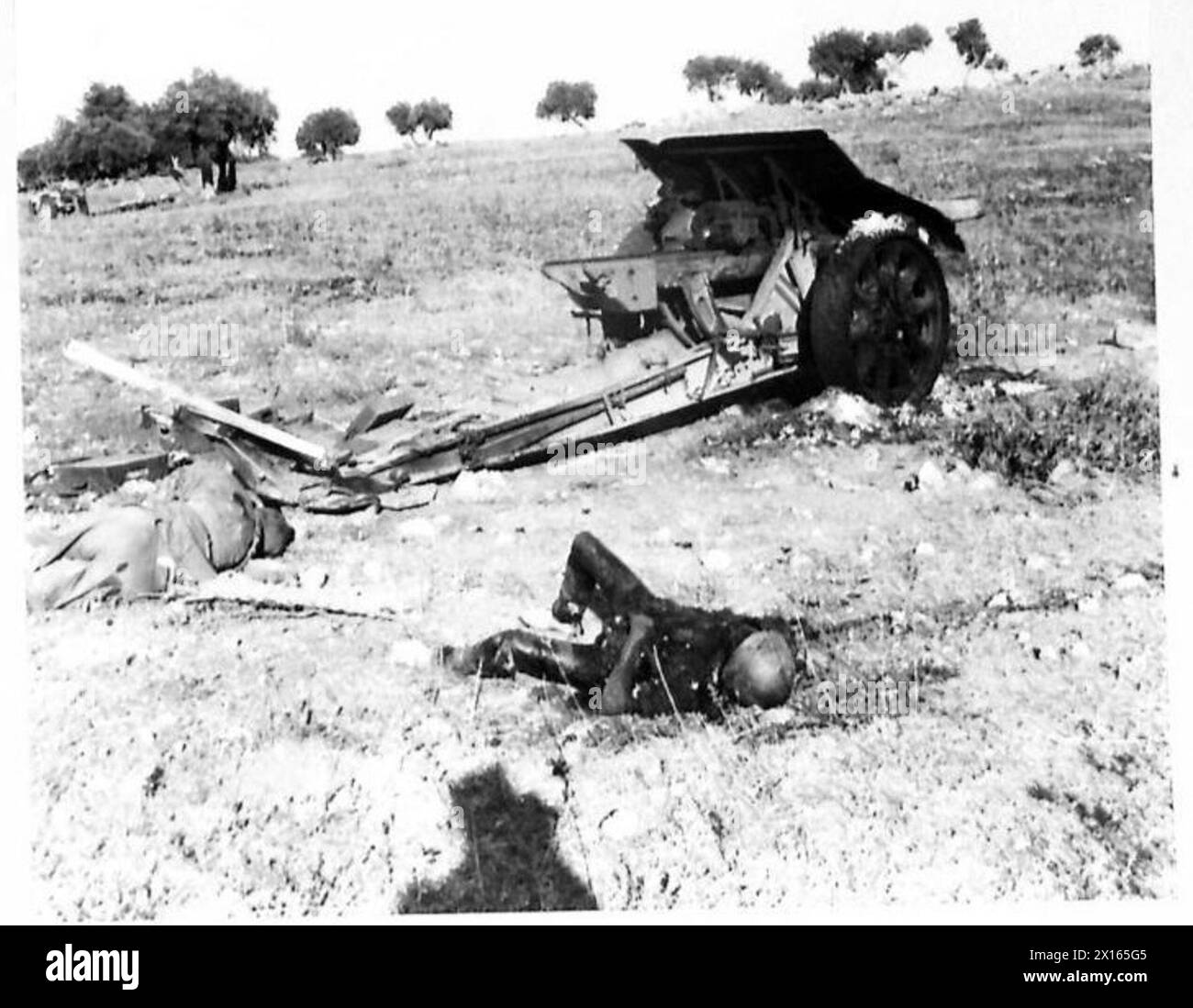 INVASION OF SICILY - A knocked out enemy 88 mm gun on the road near ...