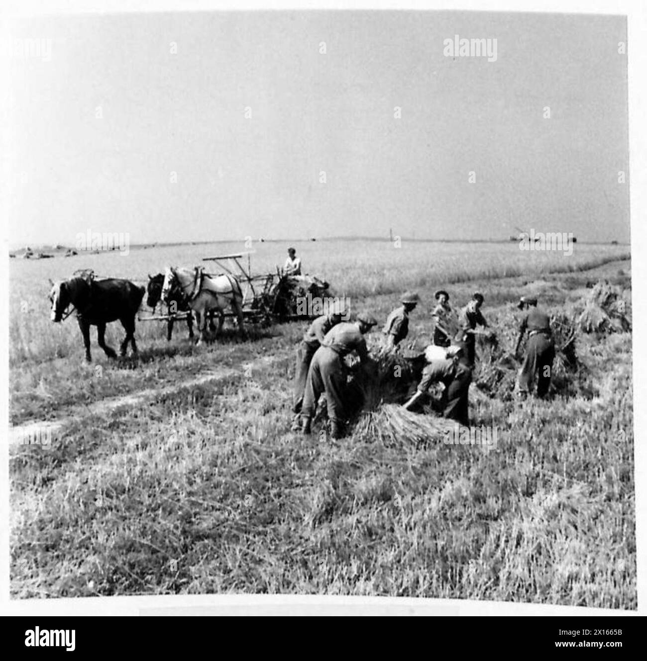 British soldiers assist french hi-res stock photography and images - Alamy