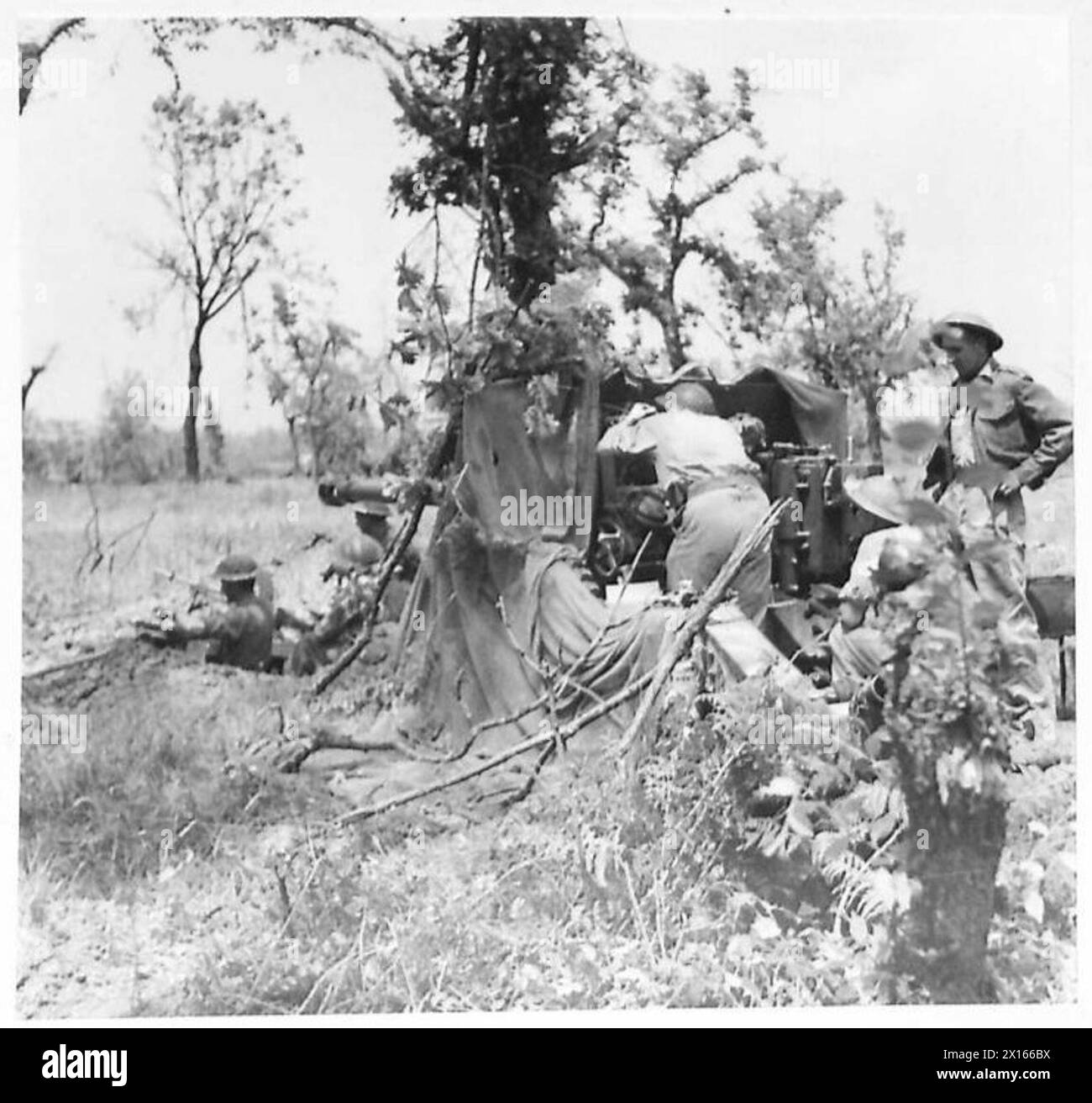 L barrel Cut Out Stock Images & Pictures - Alamy