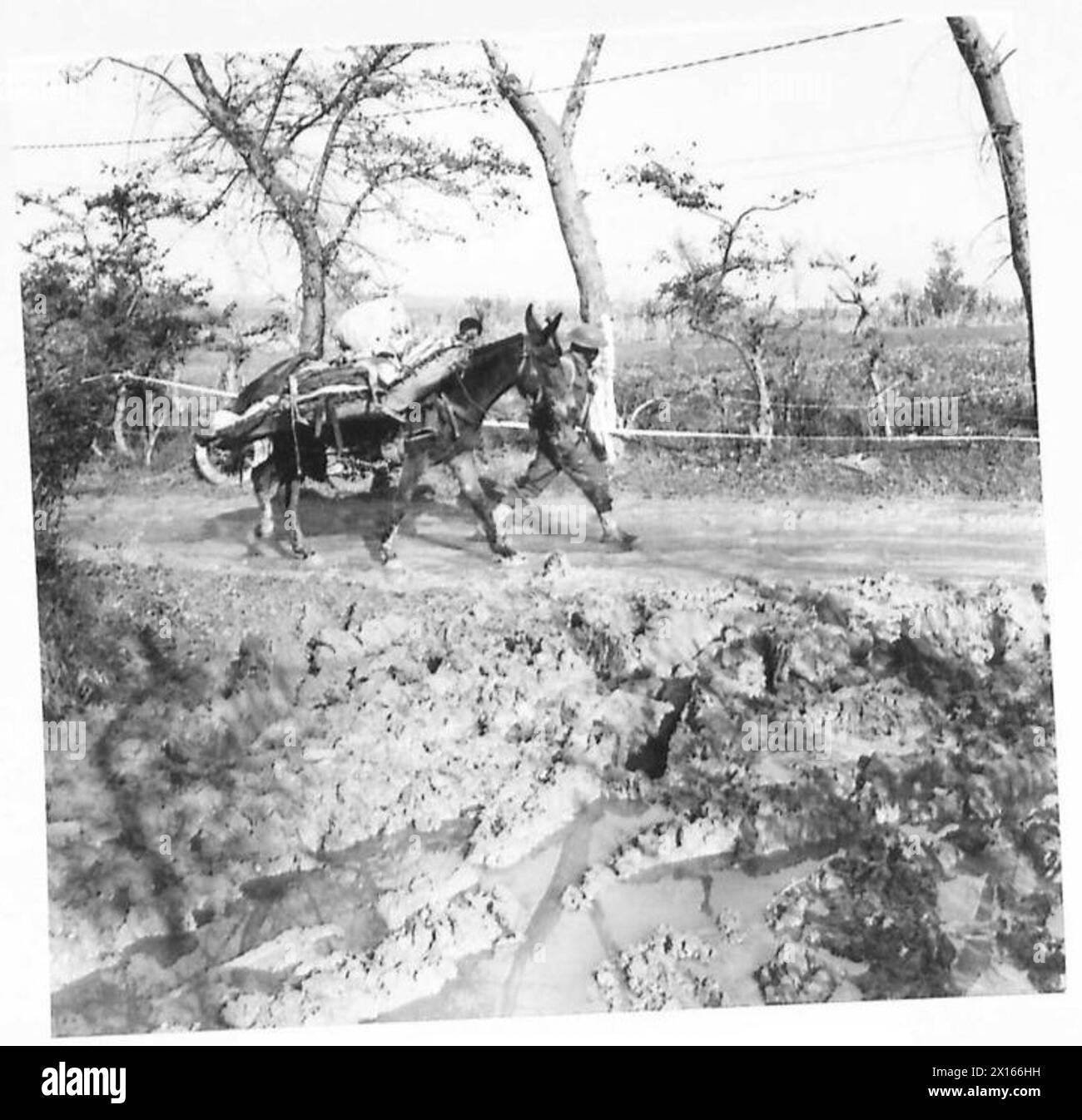 Lane river Cut Out Stock Images & Pictures - Alamy