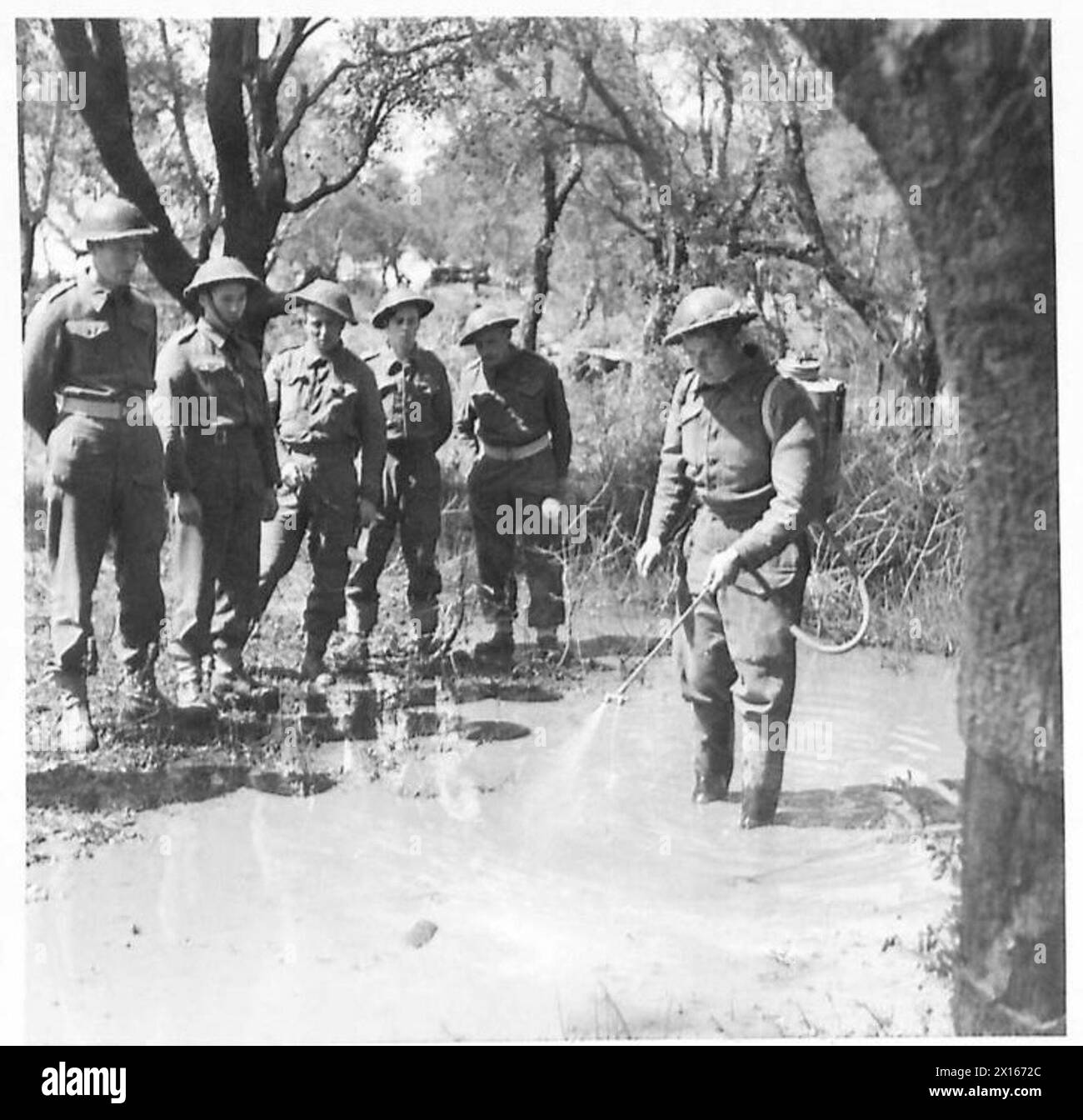 FIFTH ARMY : ANZIO BRIDGEHEAD THE BATTLE AGAINST MALARIA - On a clearer ...