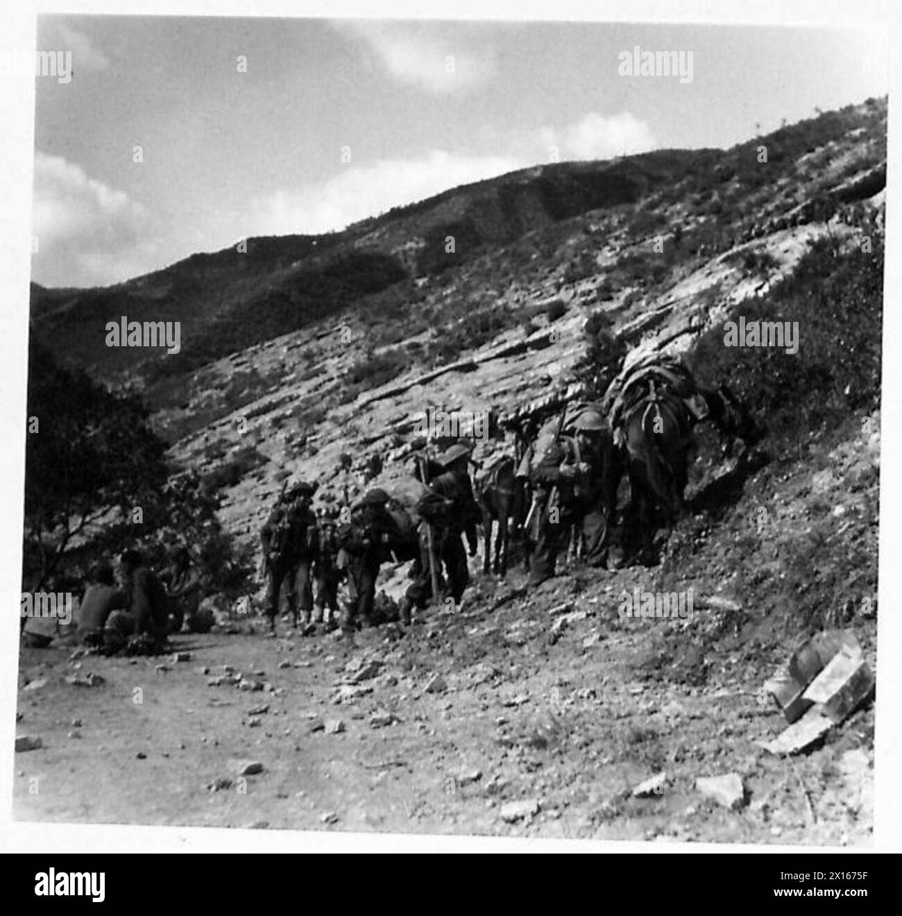 Mule track hi-res stock photography and images - Alamy