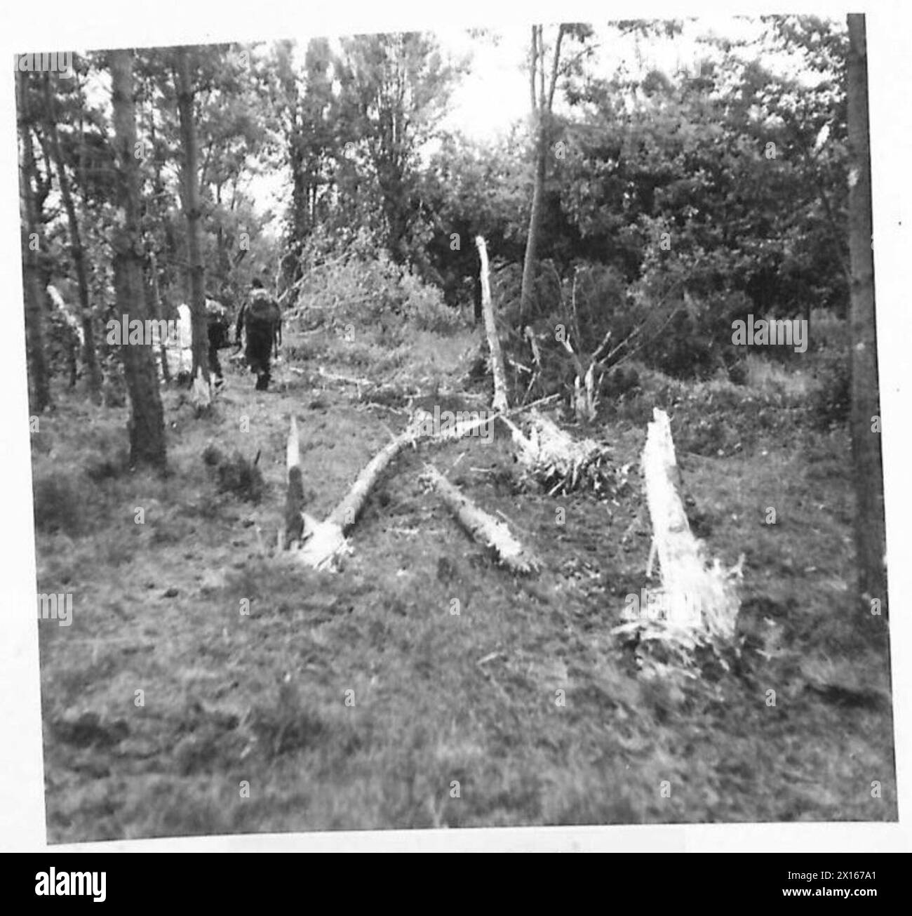 D-DAY - BRITISH FORCES DURING THE INVASION OF NORMANDY 6 JUNE 1944 ...