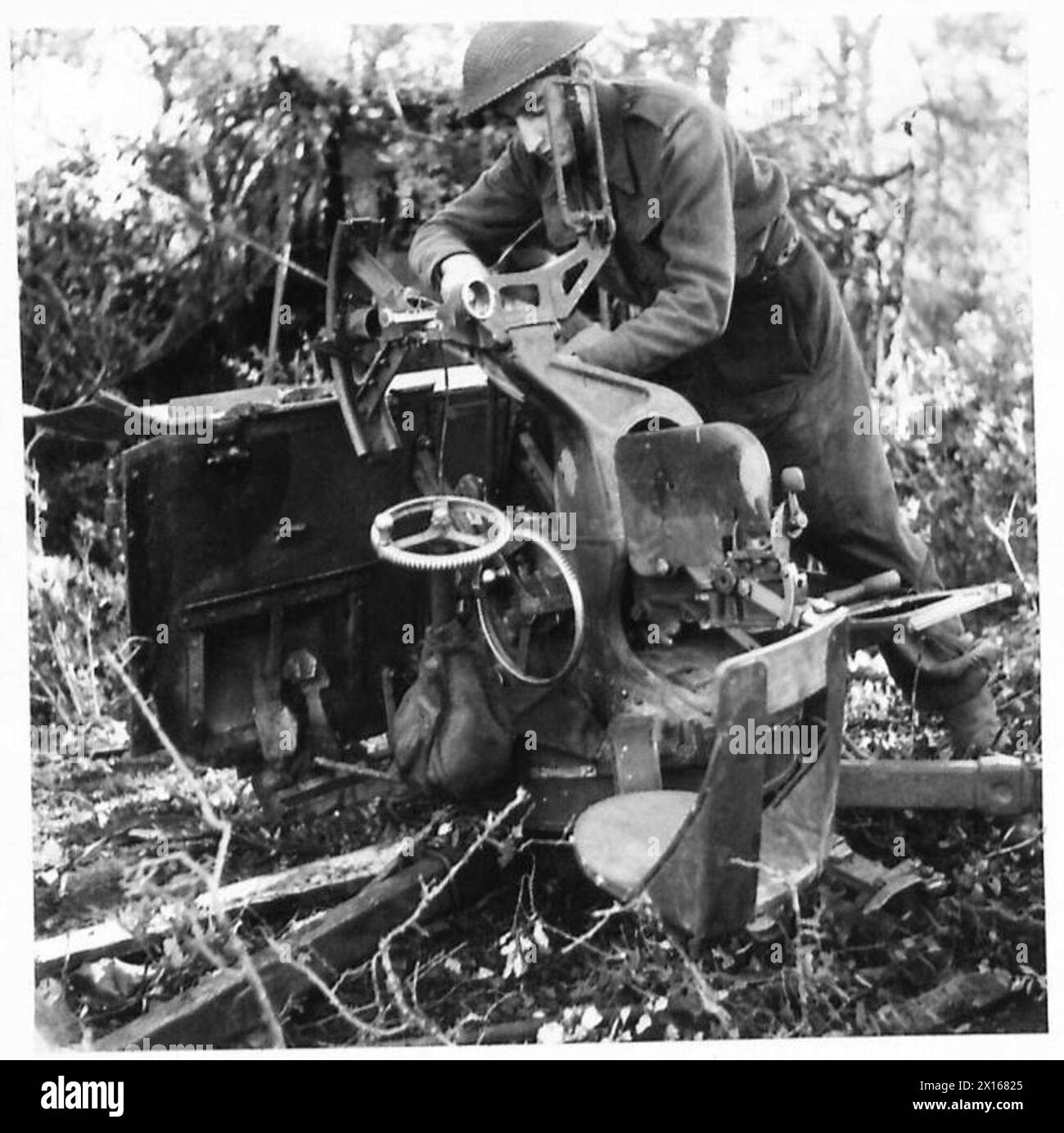 THE BRITISH ARMY IN THE TUNISIA CAMPAIGN, NOVEMBER 1942-MAY 1943 - An ...