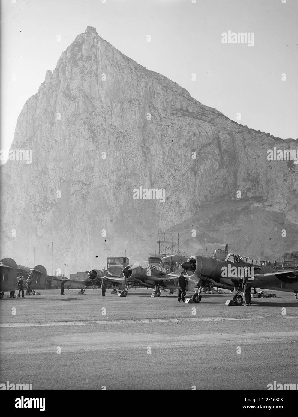 Martinets hi-res stock photography and images - Alamy