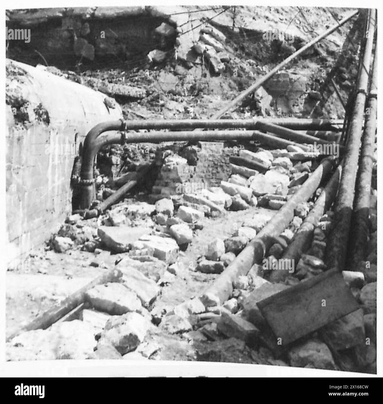 Show tank Black and White Stock Photos & Images - Alamy