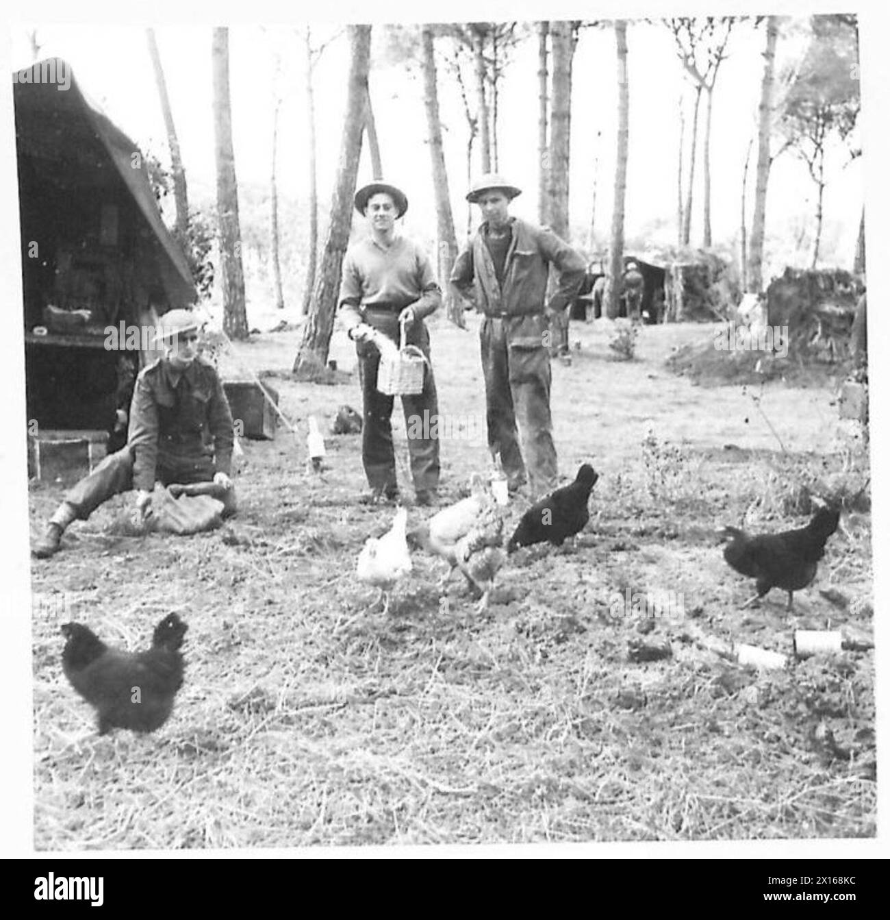 ITALY : FIFTH ARMYSALUTE THE SOLDIER SERIES - The chickens of the 8th ...