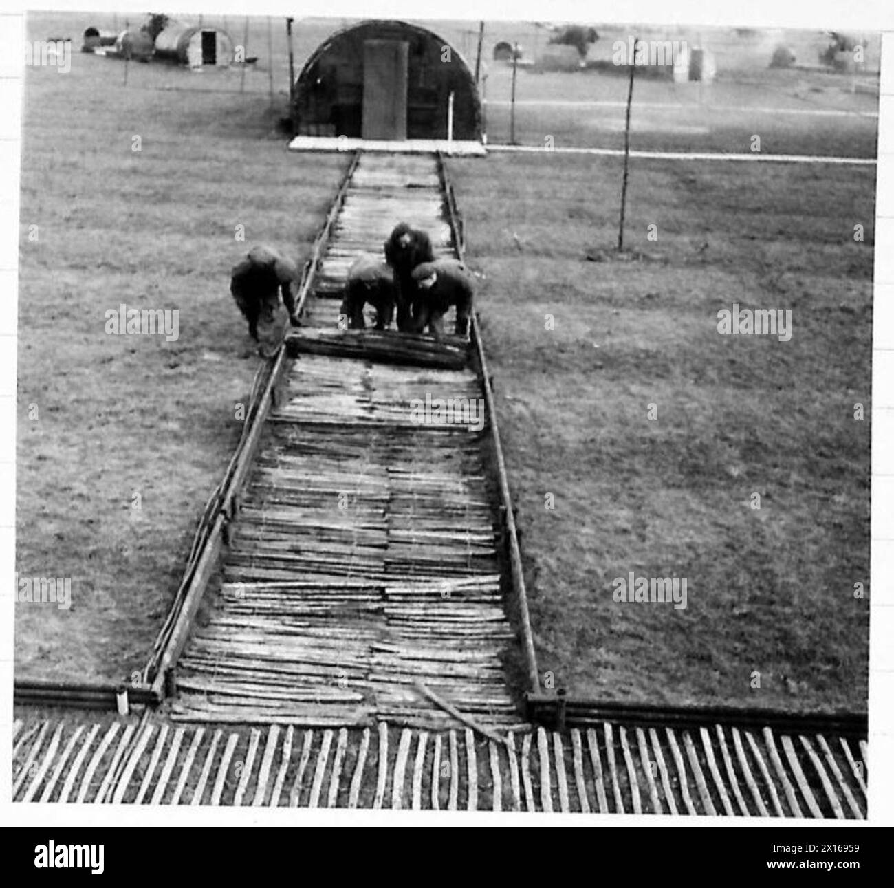 Chestnut on road Black and White Stock Photos & Images - Alamy