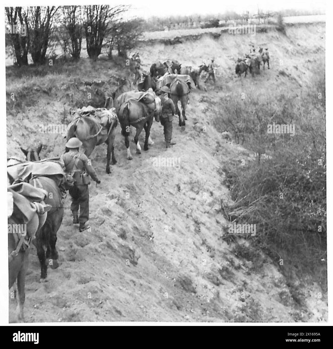 AN INDIAN MOUNTAIN UNIT IN TRAINING - The pack horse, with full loads ...