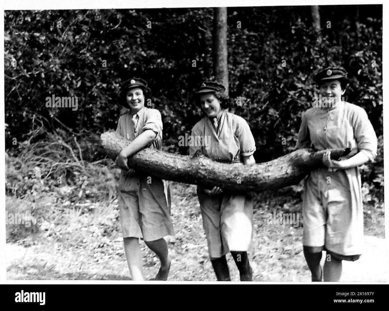 ATS UNDER CANVAS - A party having been detailed to collect wood for the ...