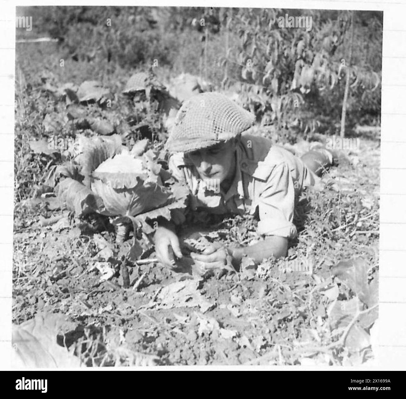 EIGHTH ARMY : MINE-CLEARING THREE MEN DIED HERE - An "S" mine with a 3 ...