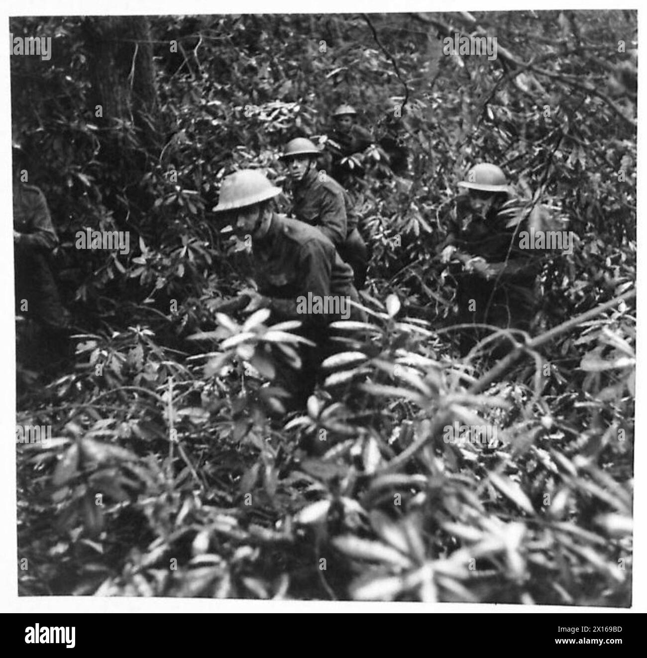 Troops advance through jungle conditions during battle drill exercises ...