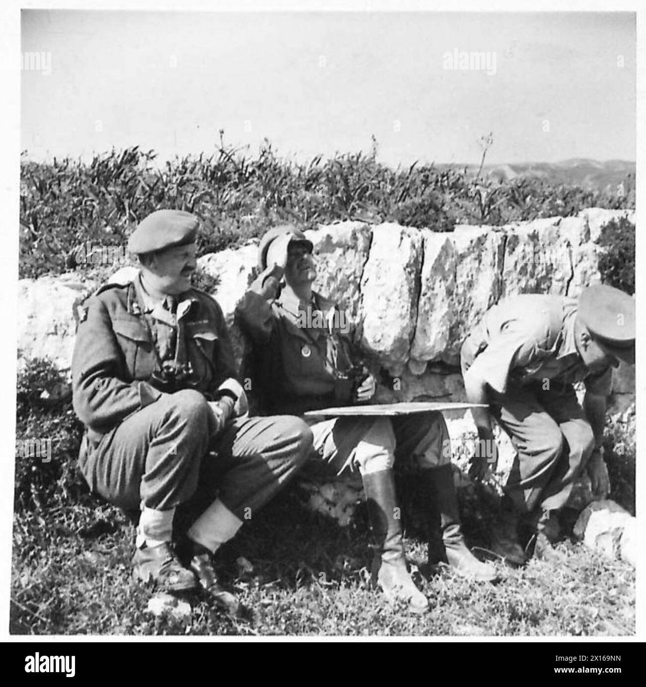 THE BRITISH ARMY IN NORTH AFRICA, SICILY, ITALY, THE BALKANS AND ...