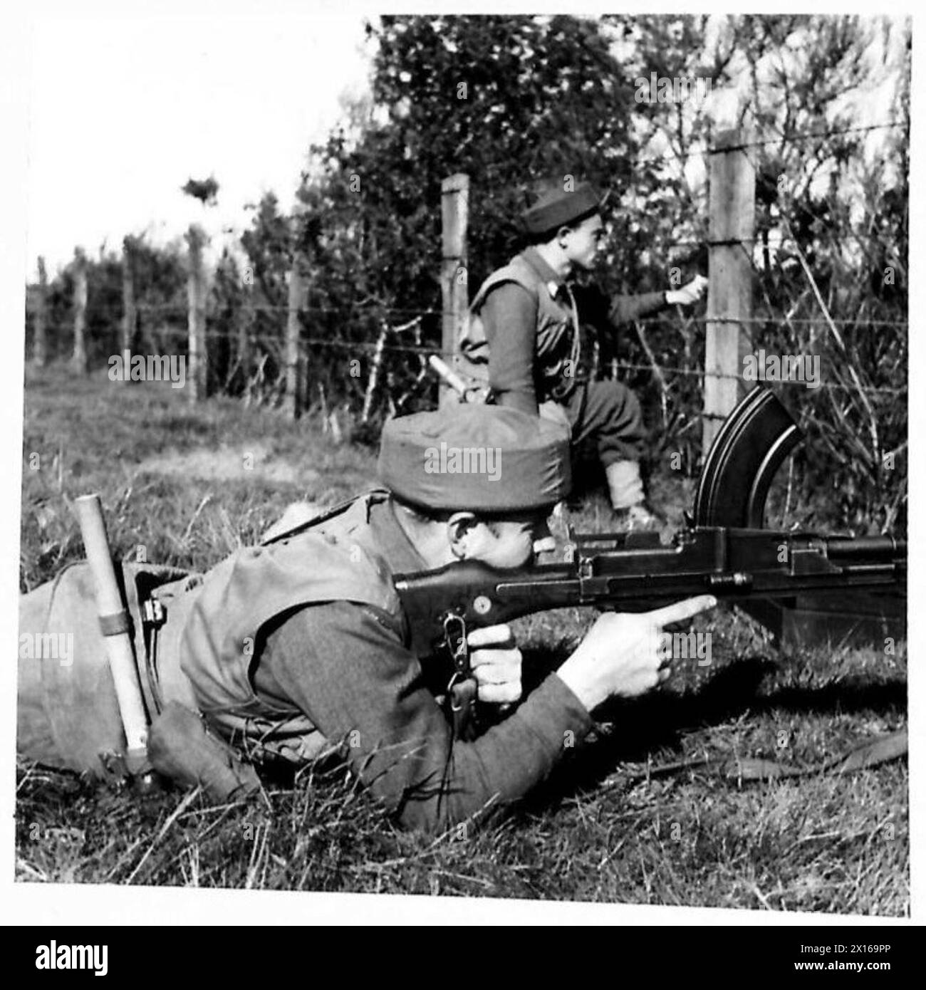 Polish military organization Cut Out Stock Images & Pictures - Alamy