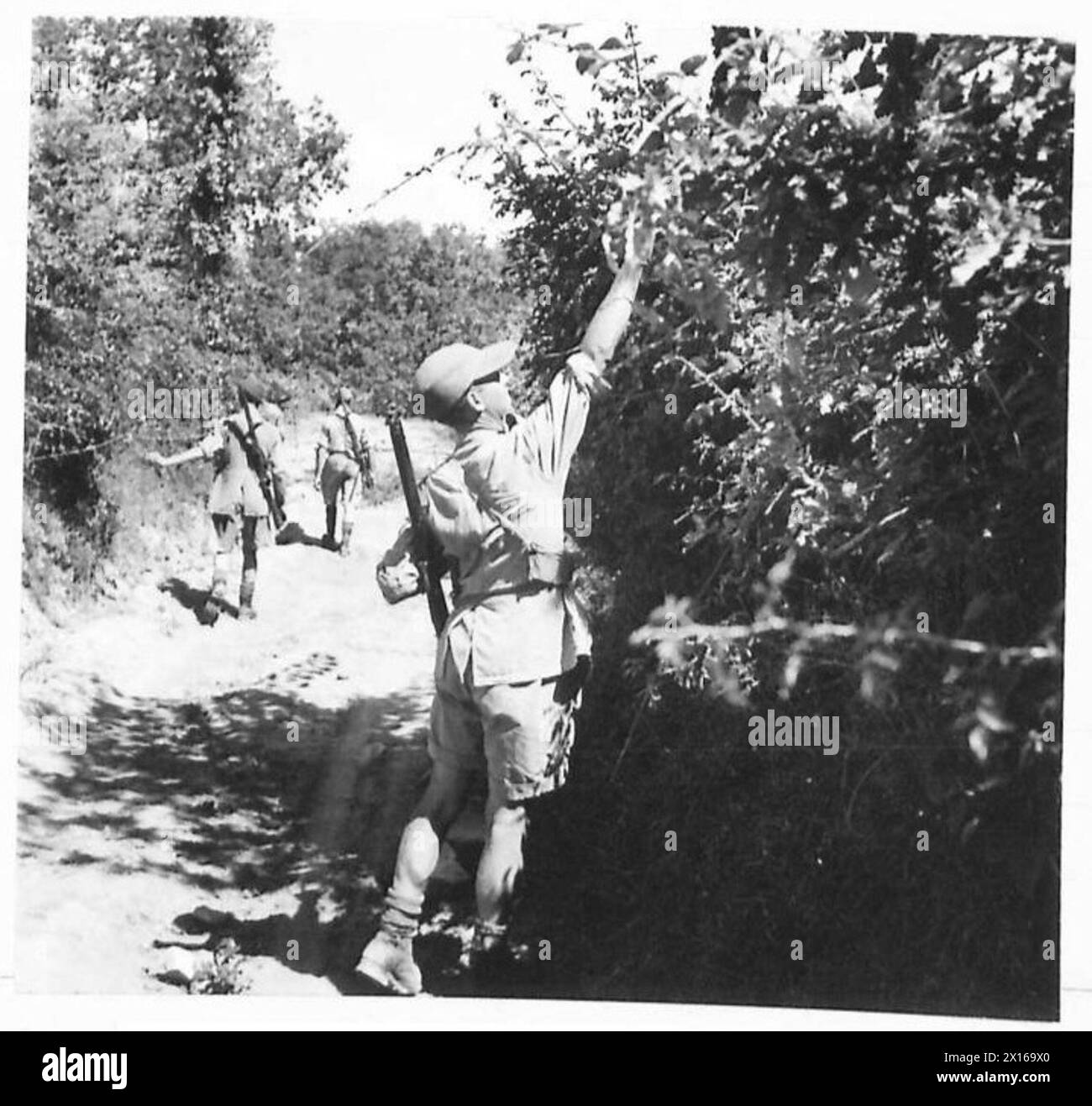 Army soldier patrols on Cut Out Stock Images & Pictures - Alamy
