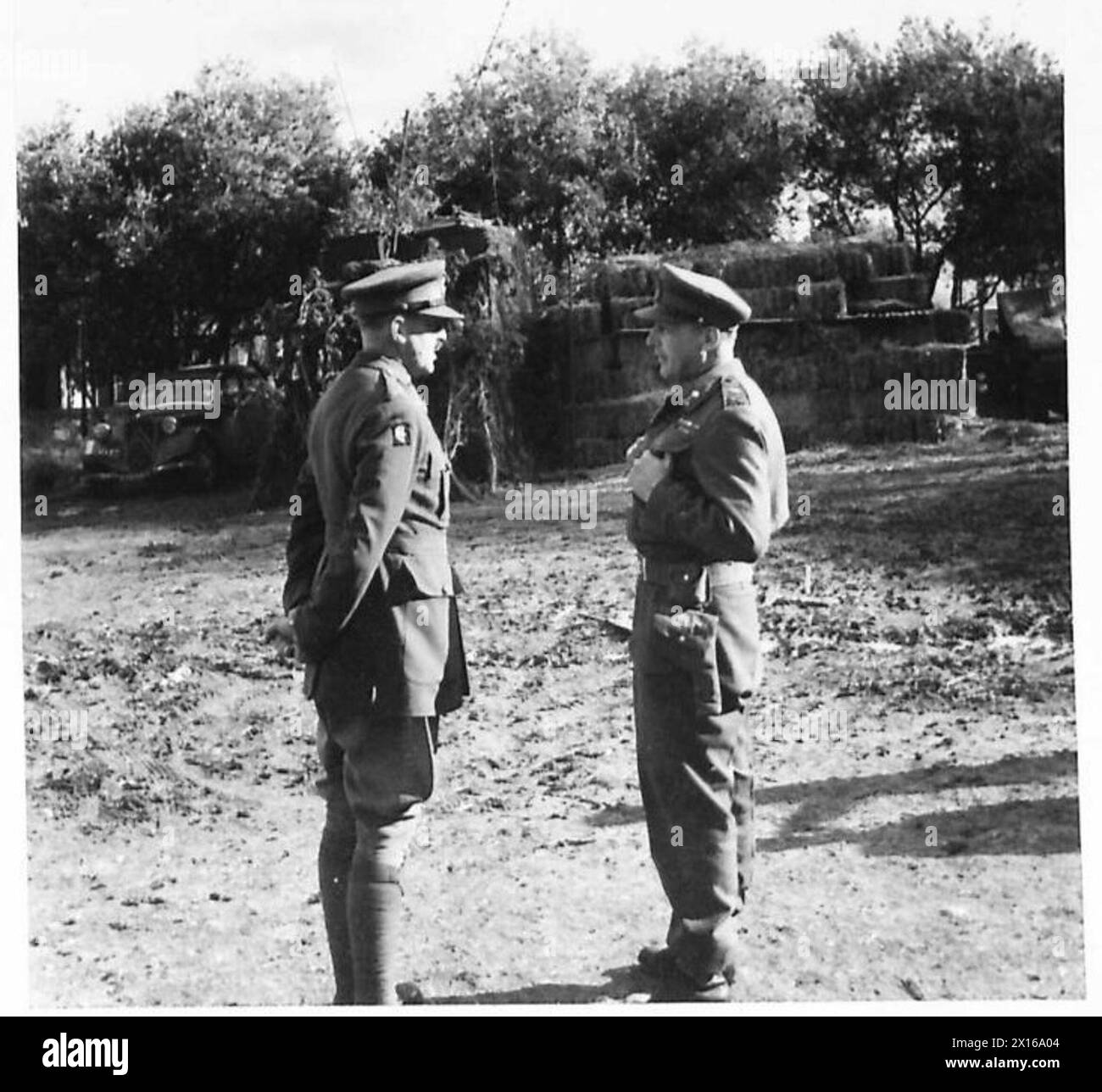 THE BRITISH ARMY IN THE TUNISIA CAMPAIGN, NOVEMBER 1942-MAY 1943 ...