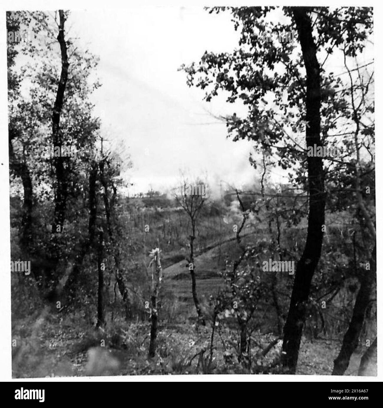 Armistead Cut Out Stock Images & Pictures - Alamy