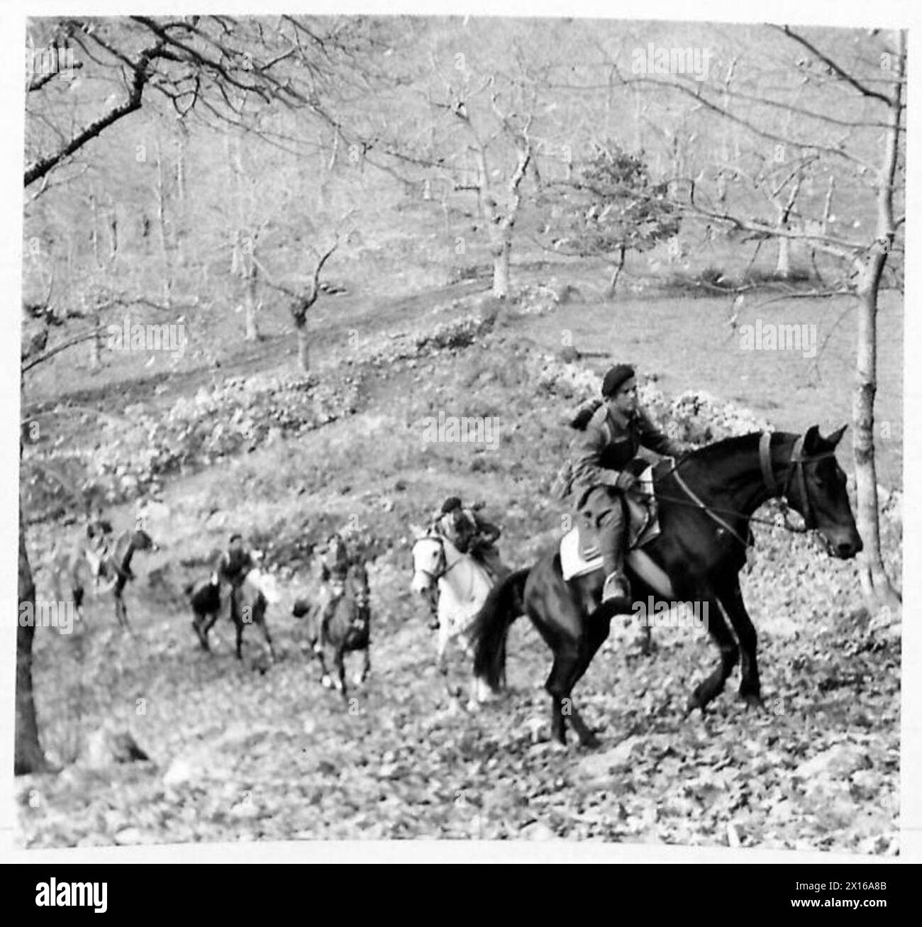 British country lanes Cut Out Stock Images & Pictures - Alamy