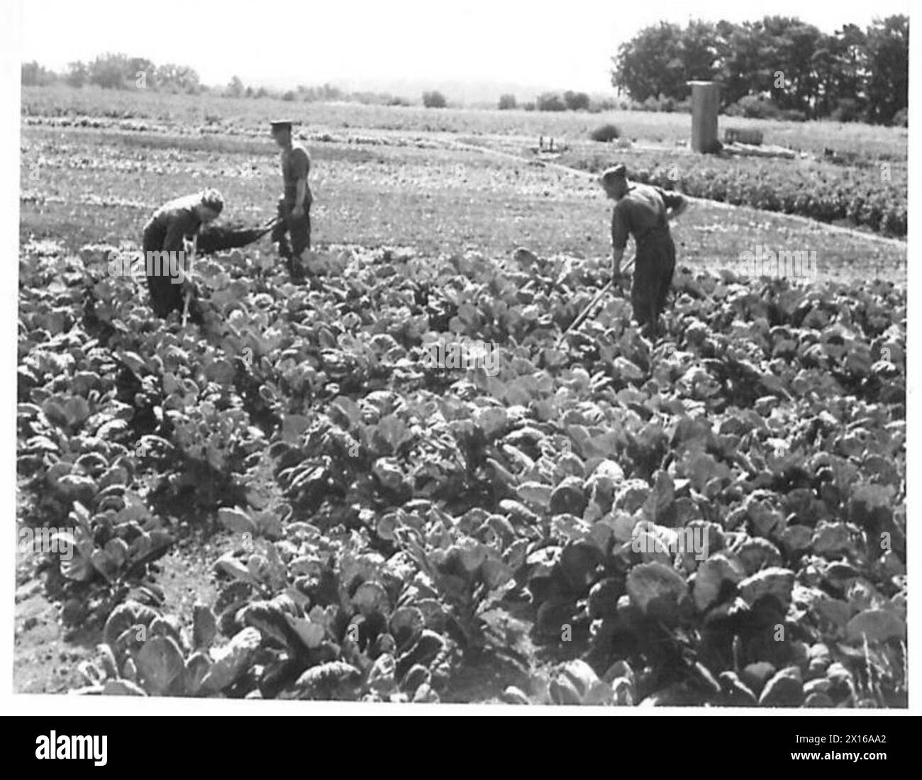 Battalion activities Cut Out Stock Images & Pictures - Alamy