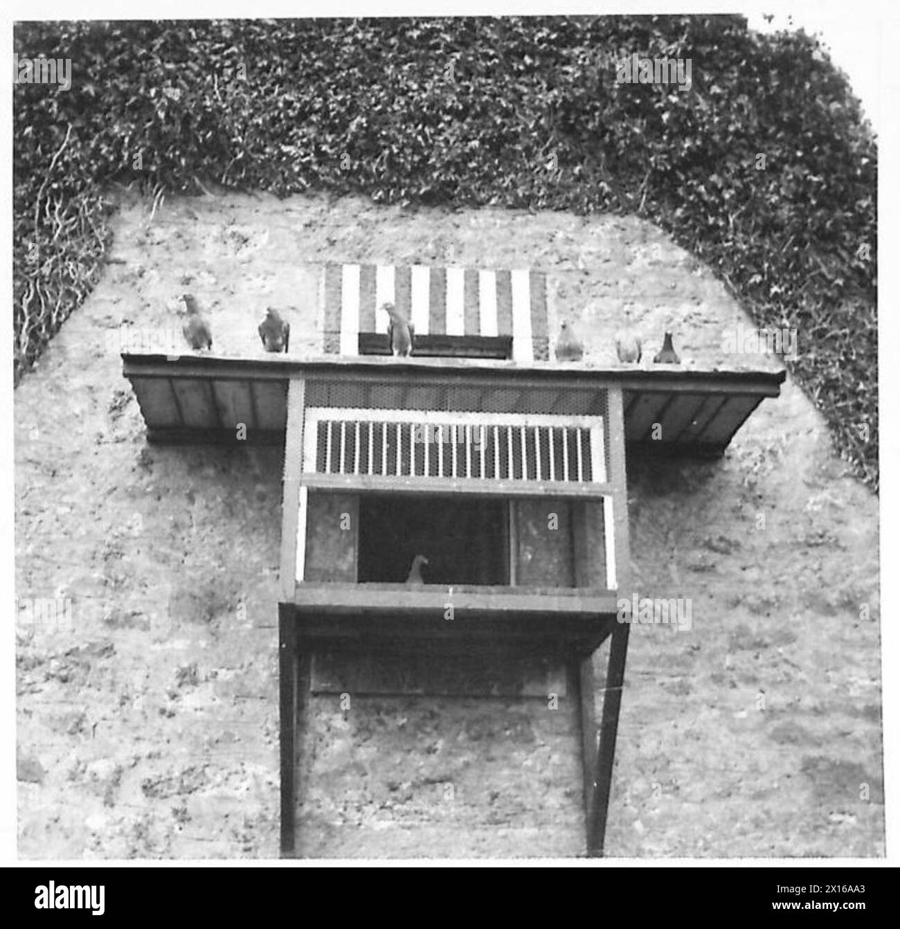 SPECIAL PICTURES FOR ROYAL CORPS OF SIGNALS - Exterior views of the ...