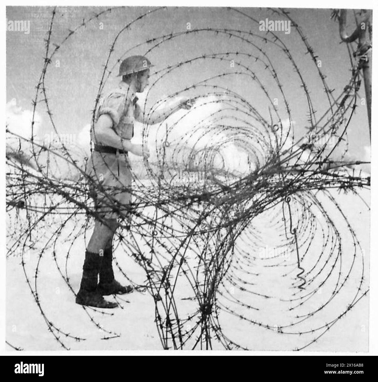 OFFICIAL PHOTOGRAPHS TAKEN IN THE WESTERN DESERT - A network of barbed ...