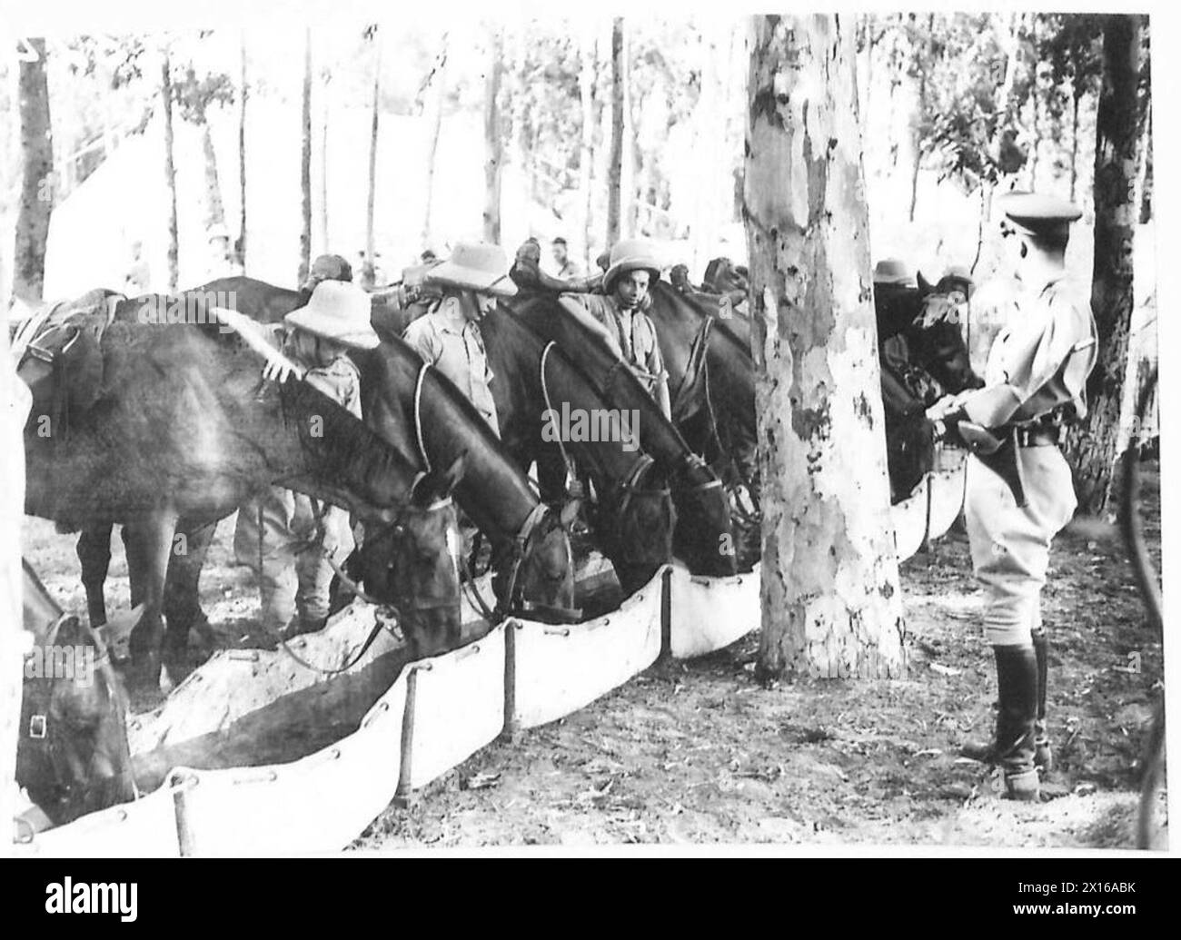 Military officers training horses in hi-res stock photography and ...