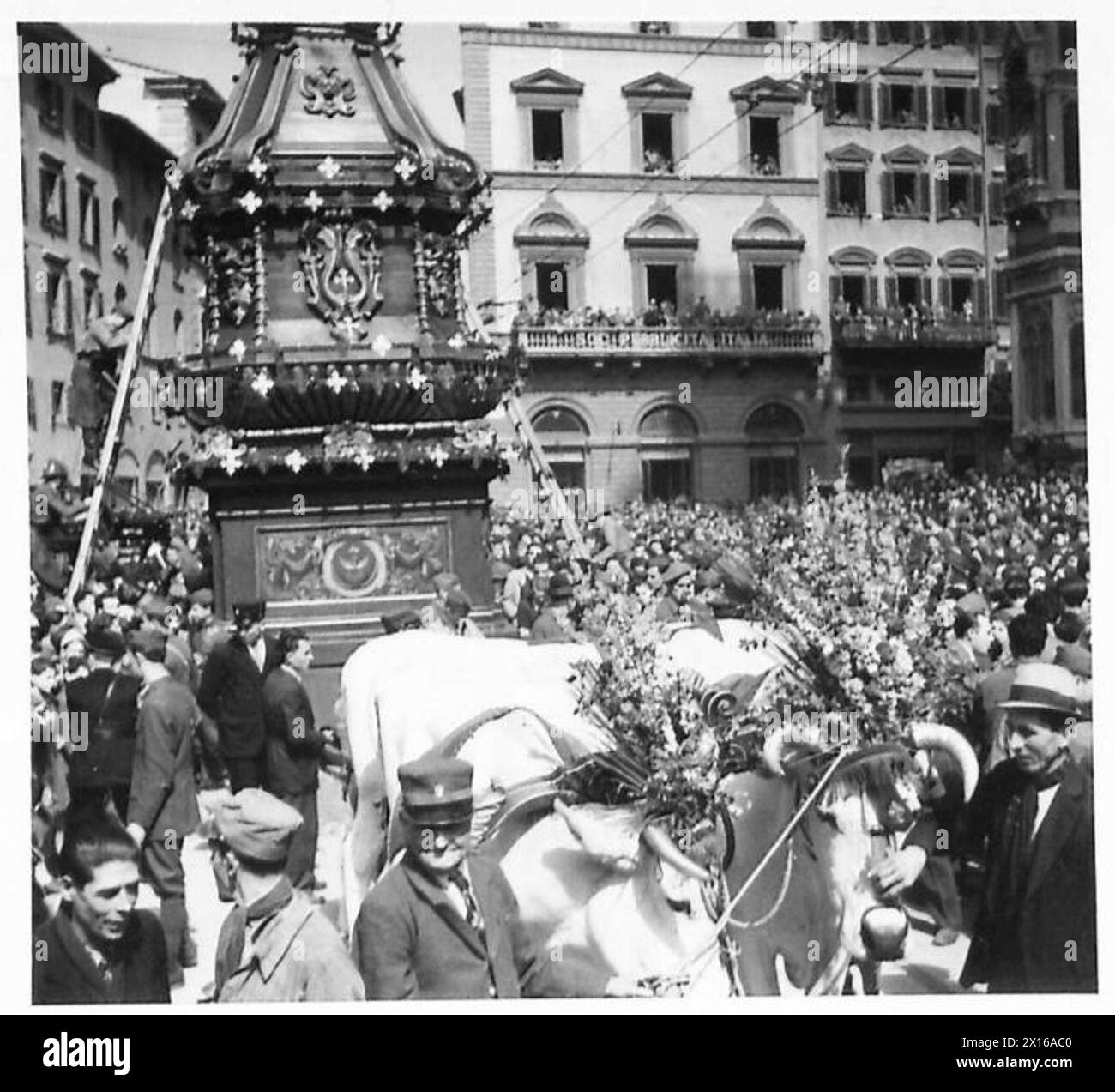 Oxen parade Cut Out Stock Images & Pictures - Alamy