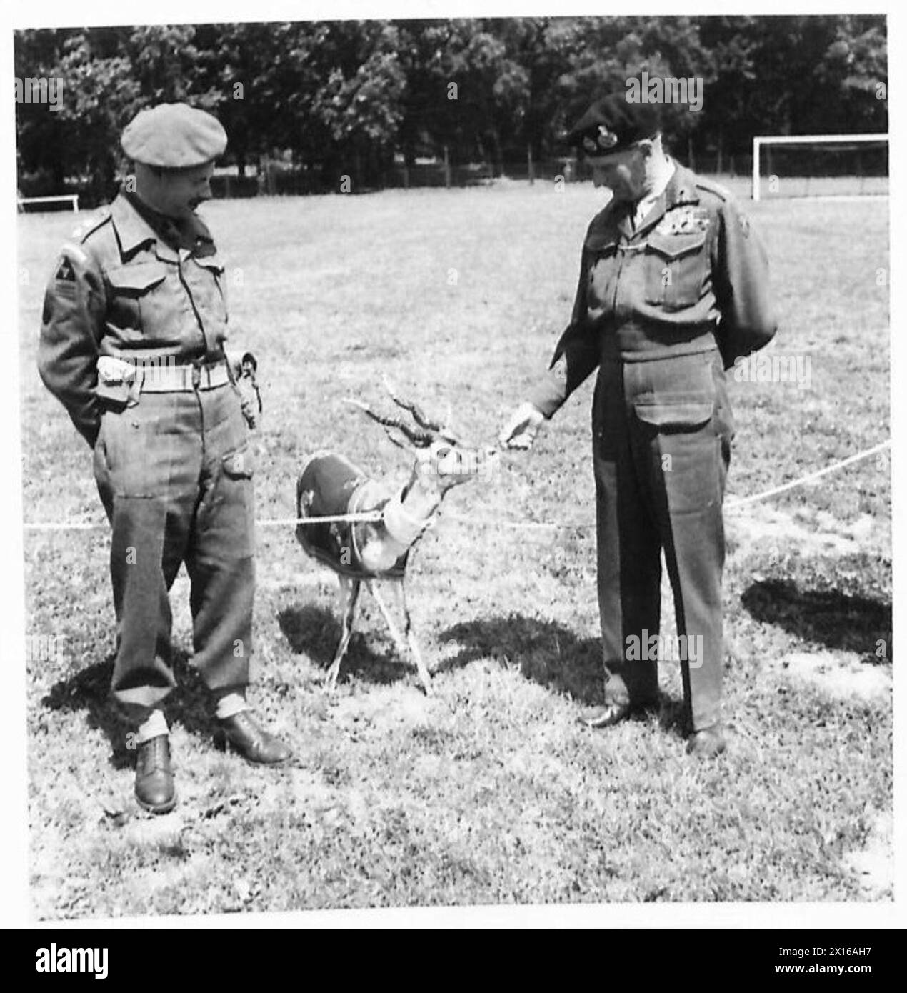C-in-C and Lieutenant Colonel R.C. Macdonald of the 2nd Battalion ...