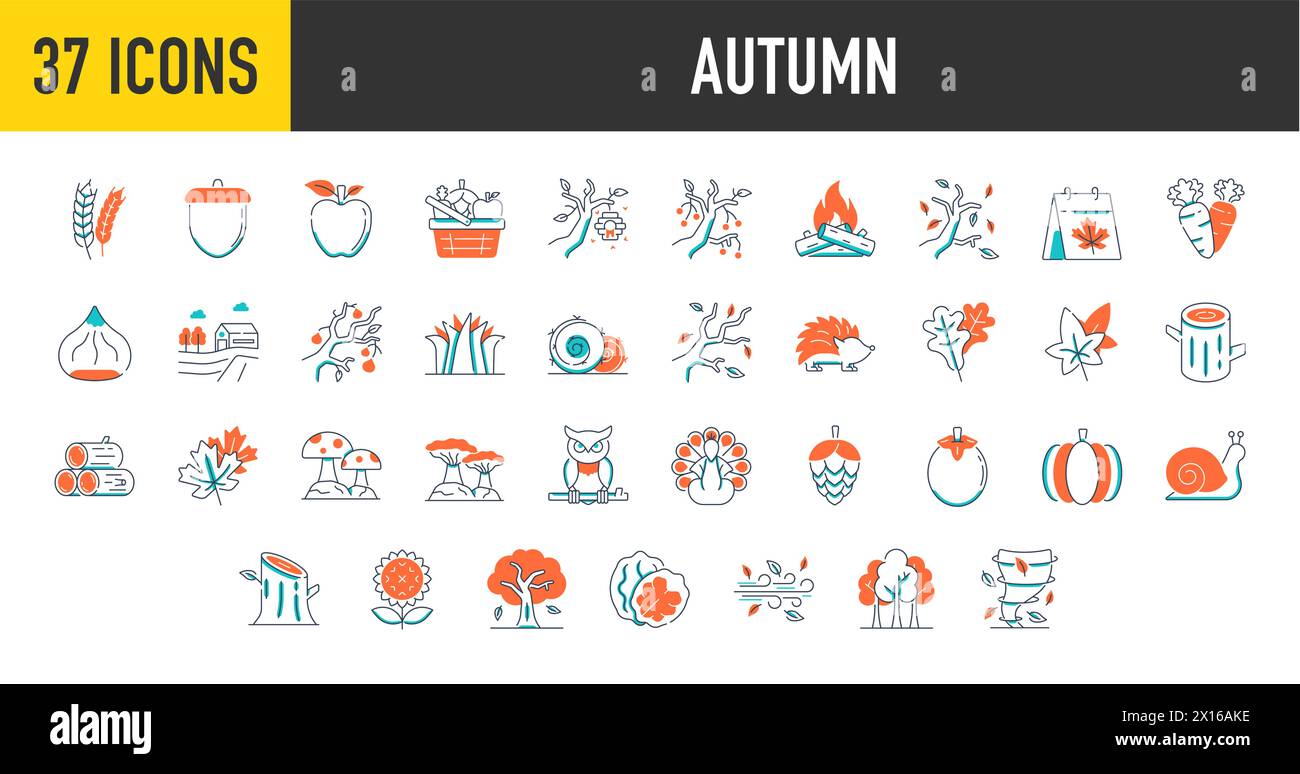 Set of autumn icons. Collection of fall related objects, plants and ...