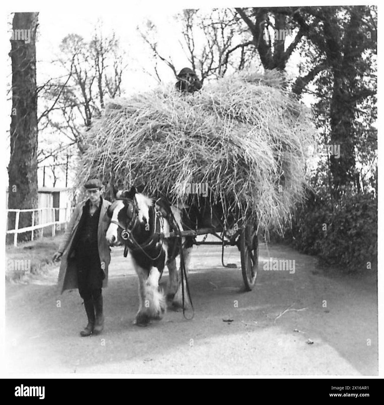 SPARTAN EXERCISE - A British sniper, with Bren gun, concealed on the ...