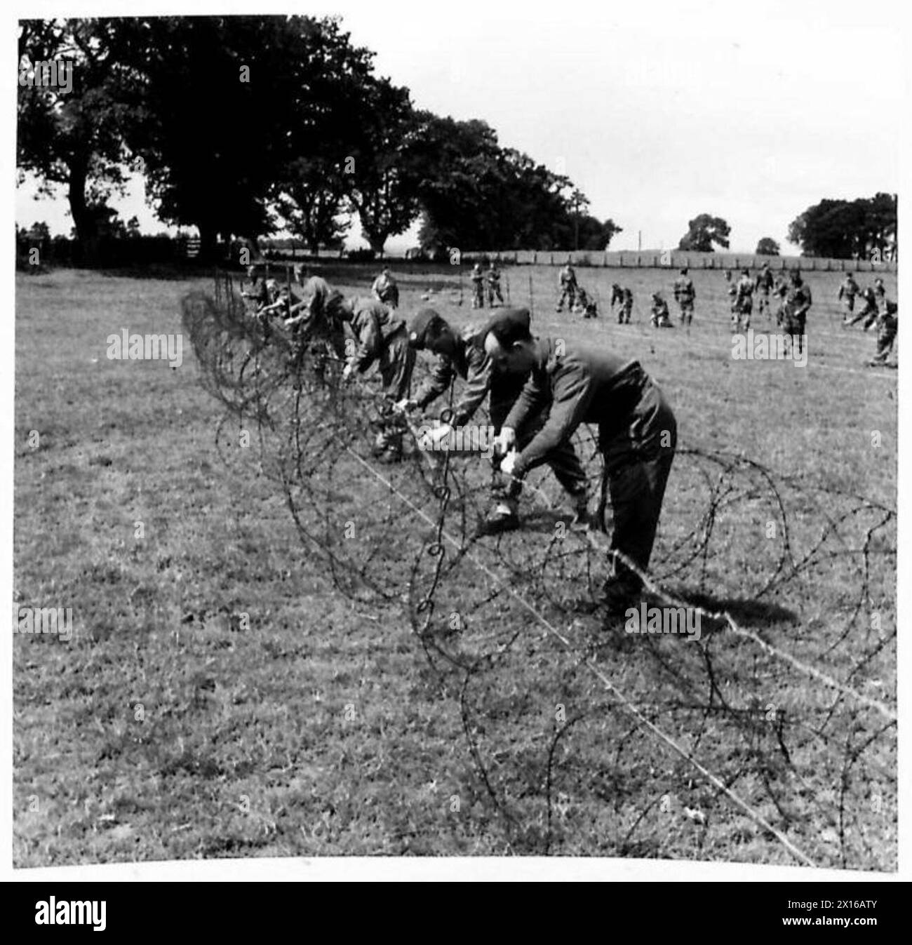 R.A.F. LAYING TRIPLE CONCERTINA DANNERT WIRING - A training wire is ...