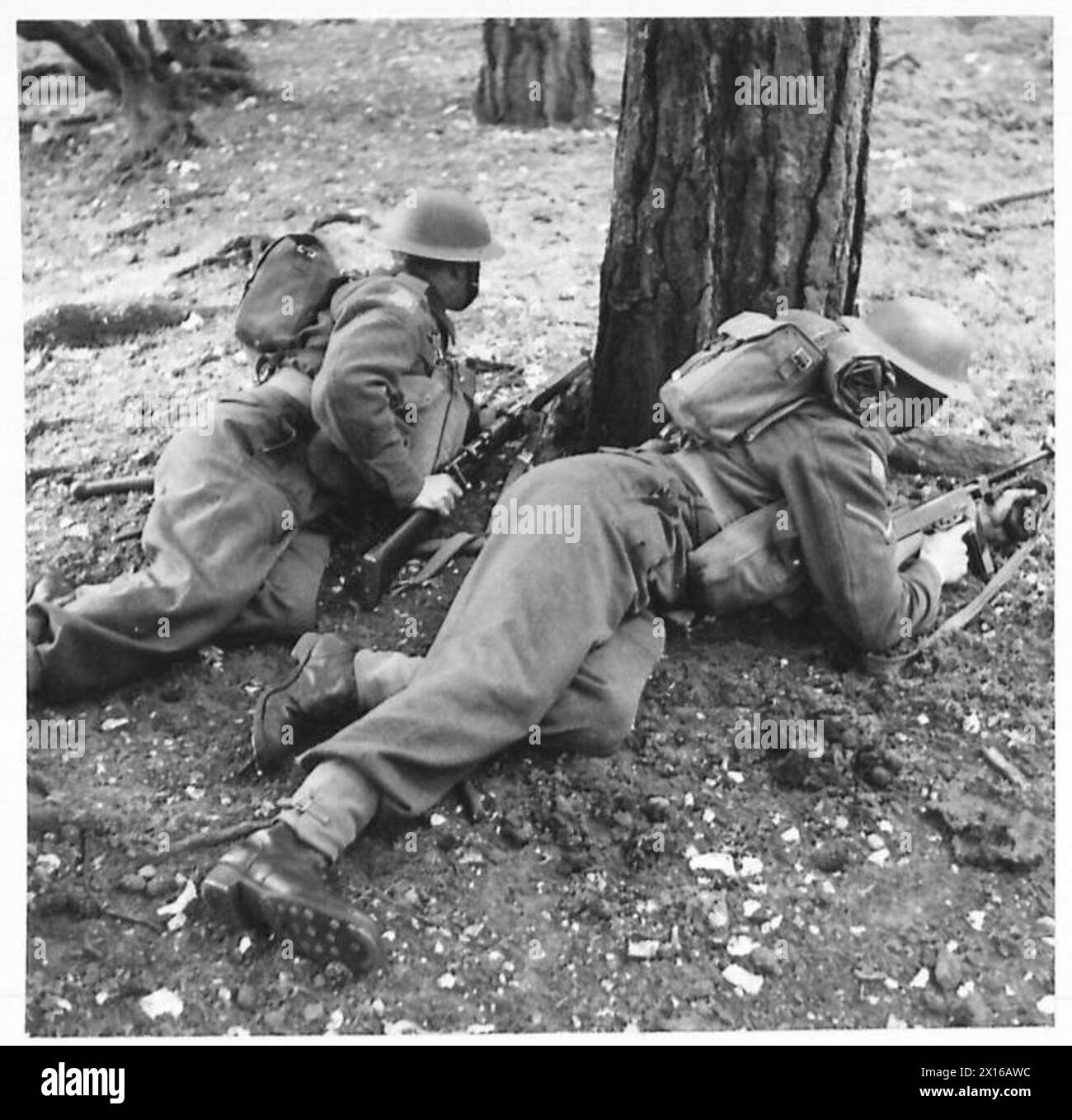 Two members of a patrol observe their surroundings during a woodland ...