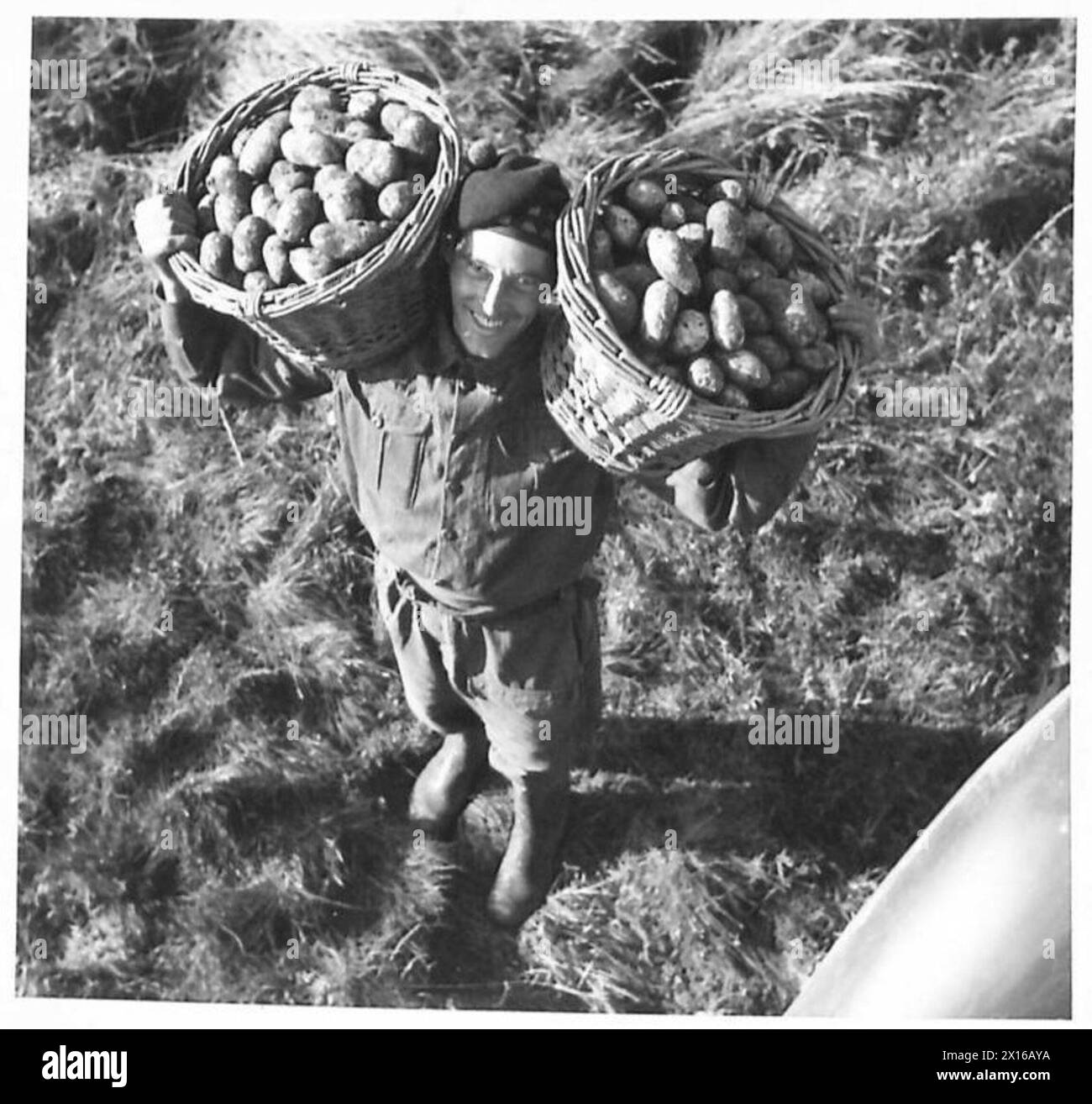 SOLDIERS GATHER IN THE CROPS - This Scottish soldier shoulders two ...