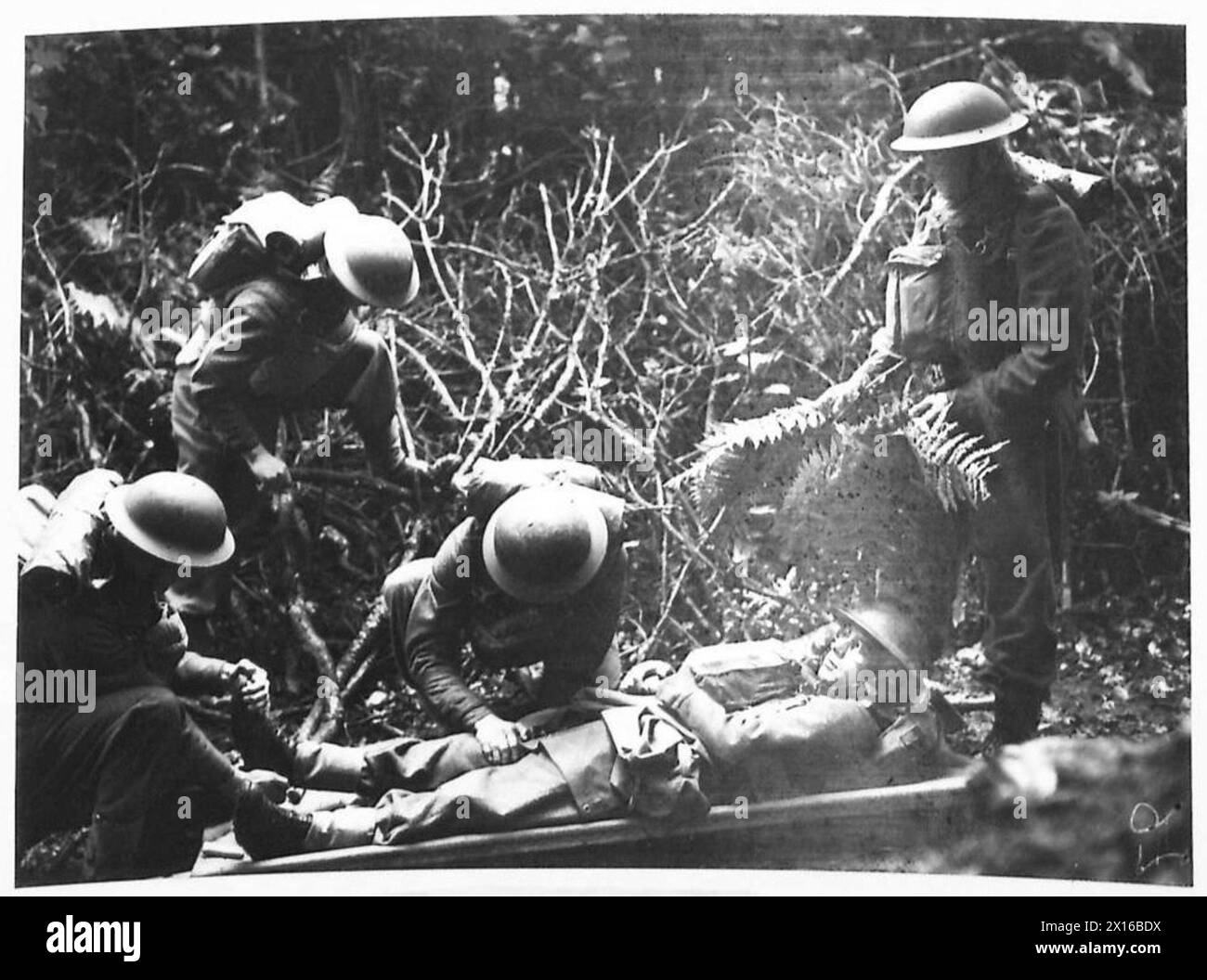 British ferns Black and White Stock Photos & Images - Alamy